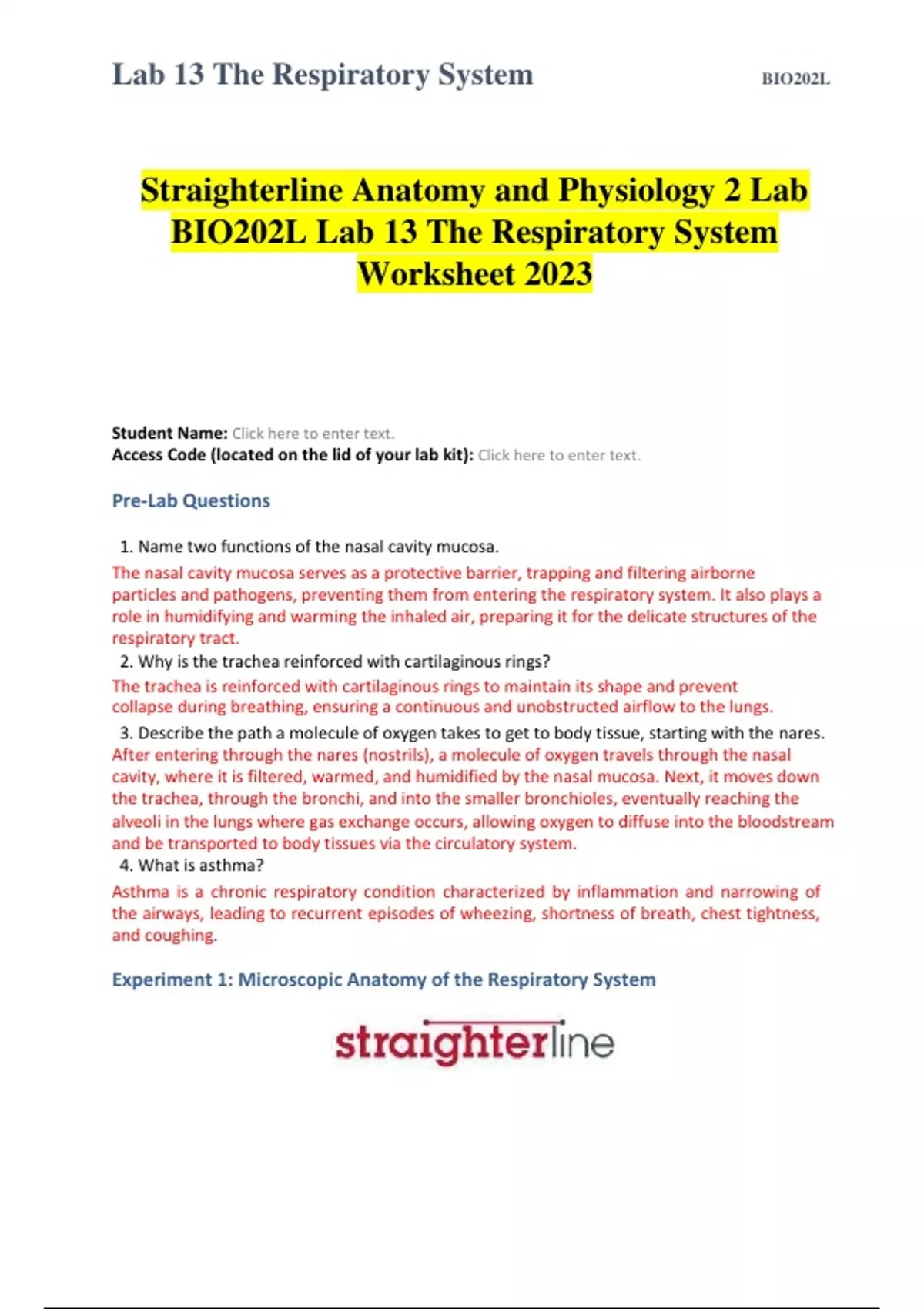 Straighterline Anatomy and Physiology 2 Lab BIO202L Lab 13 The Respiratory System Worksheet 2023 ...
