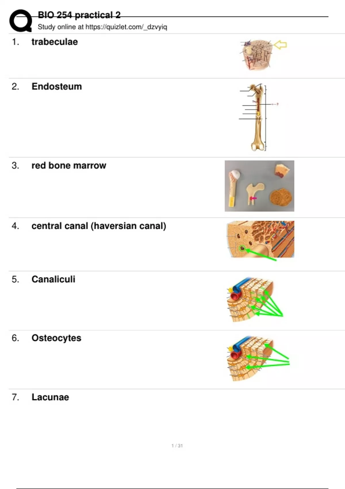 BIO 254 practical 2 - Hondros BIO 254 - Stuvia US