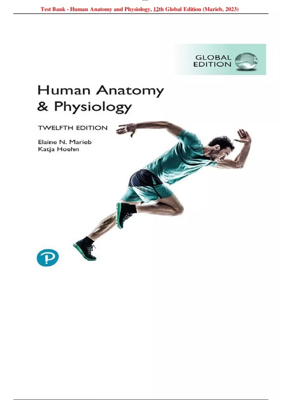 Summary Test Bank - Human Anatomy & Physiology, 12th Global Edition ...