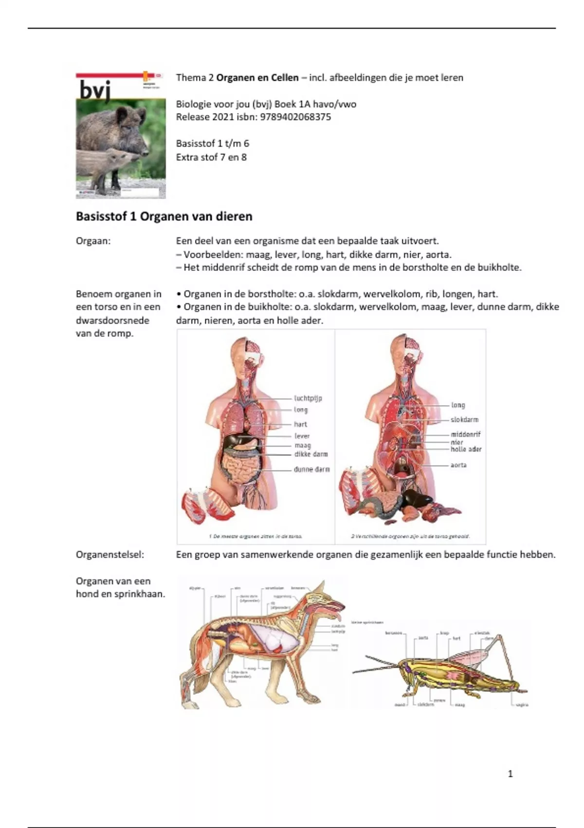 Samenvatting H2 Organen en Cellen – incl. afbeeldingen die je moet leren Biologie voor jou (bvj ...