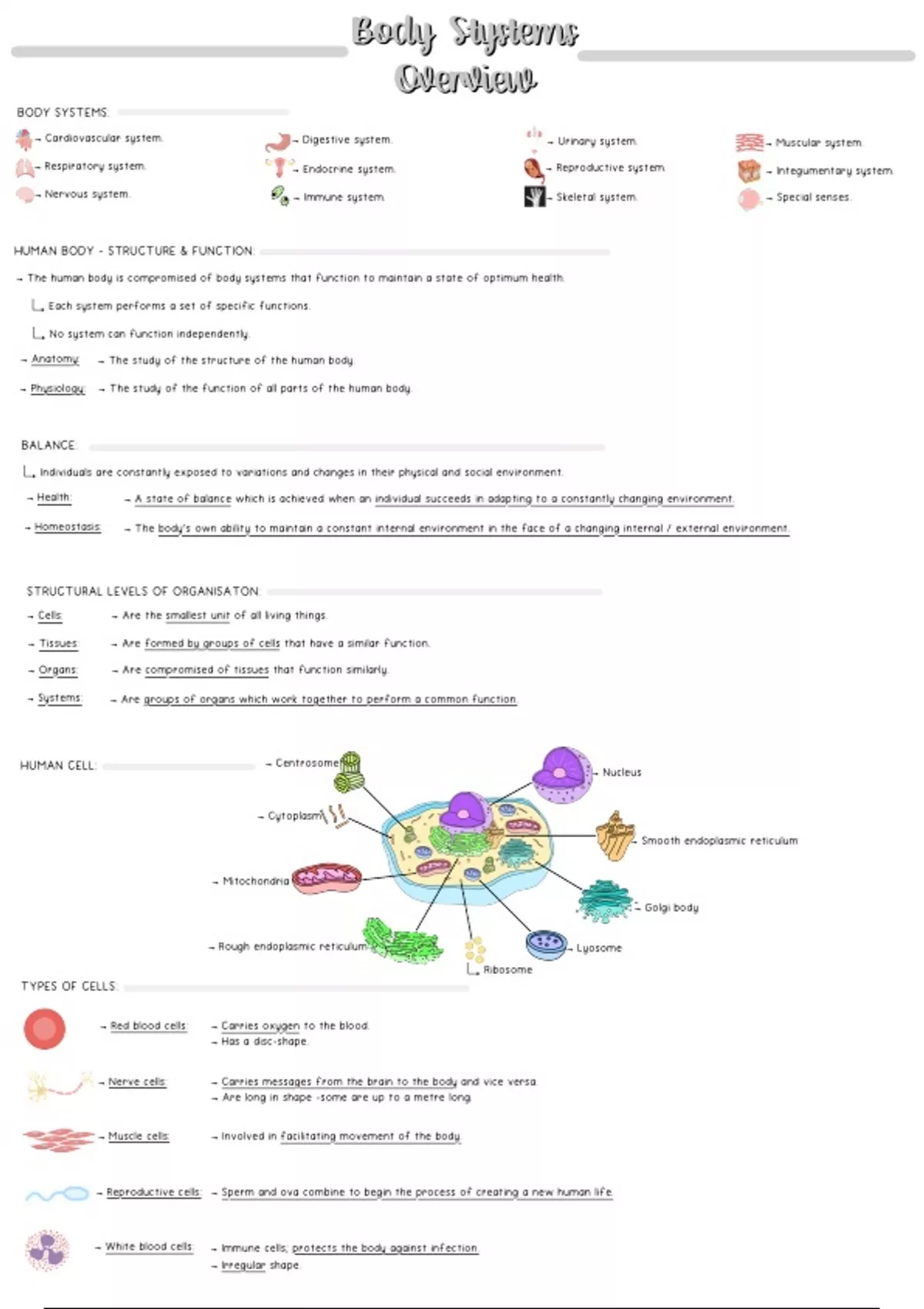 Summary Body Systems Overview NOTES - VCE VET Health/ Certificate III ...