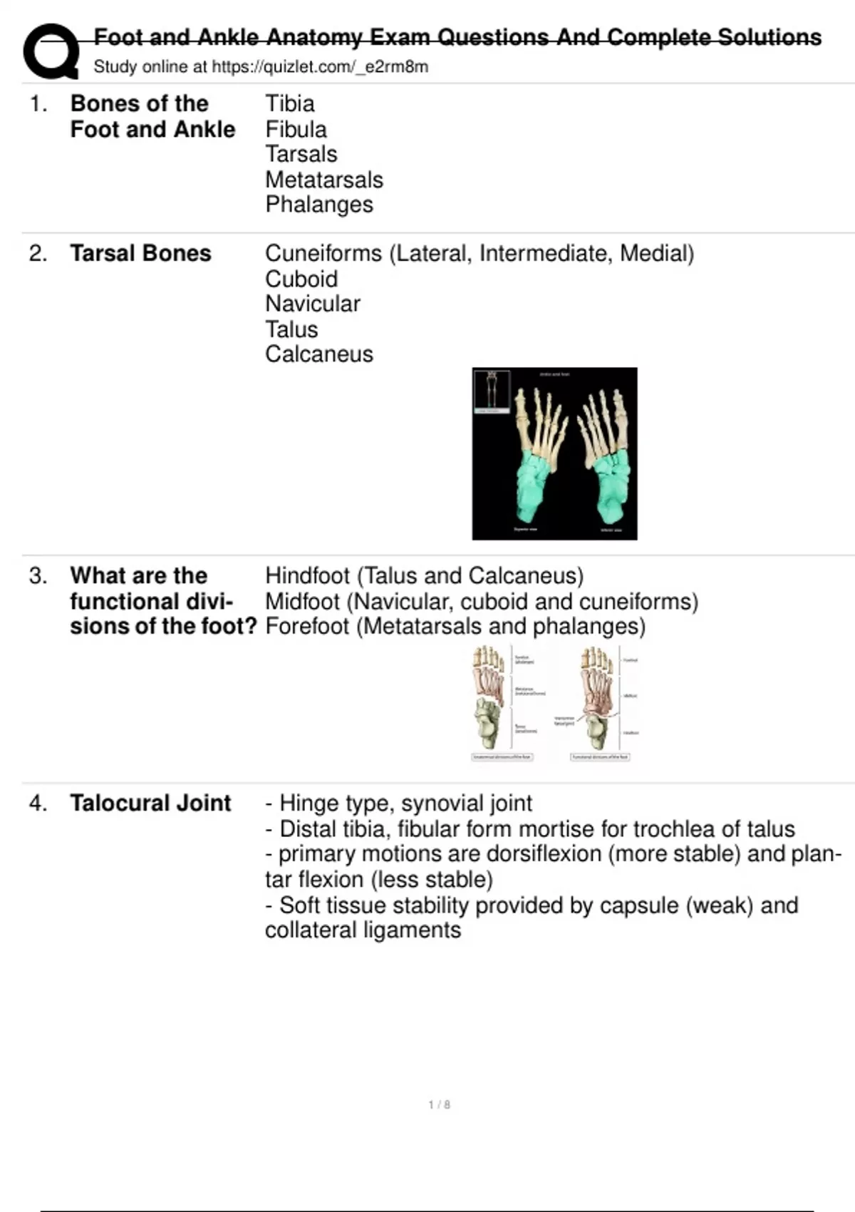 Foot and Ankle Anatomy Exam Questions And Complete Solutions - Foot and ...