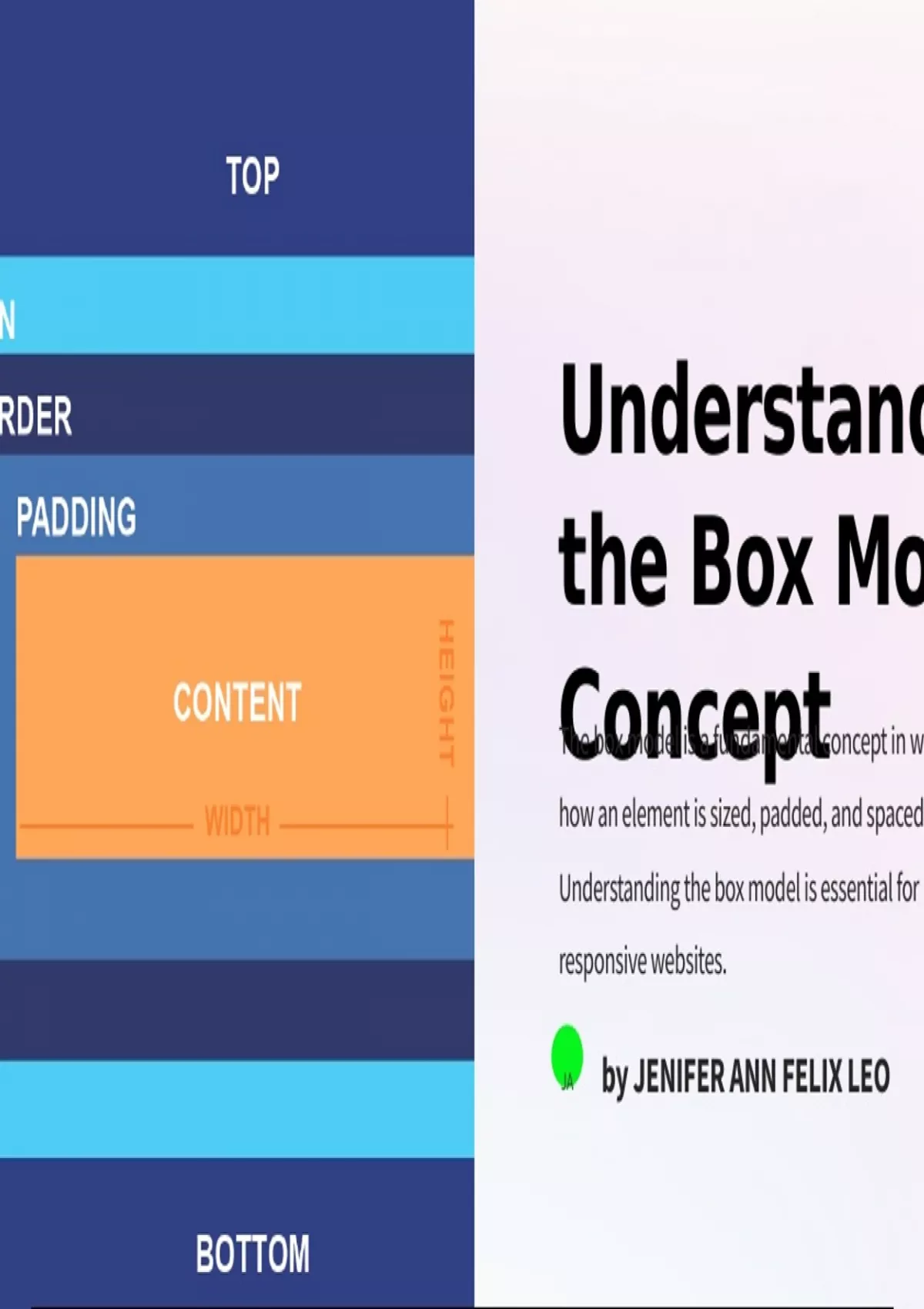 Css box model theory - Stuvia US