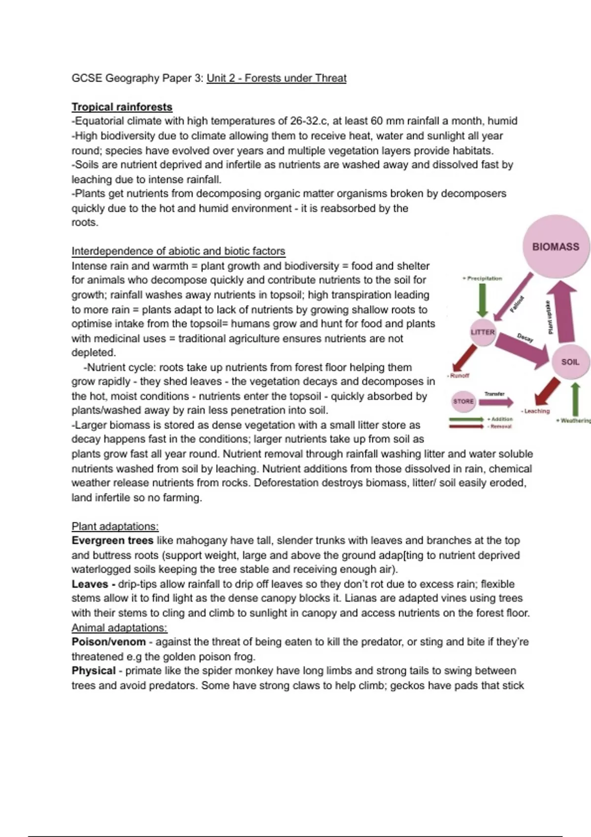 Summary Forests Under Threat - GCSE Geography Topic notes - Stuvia UK