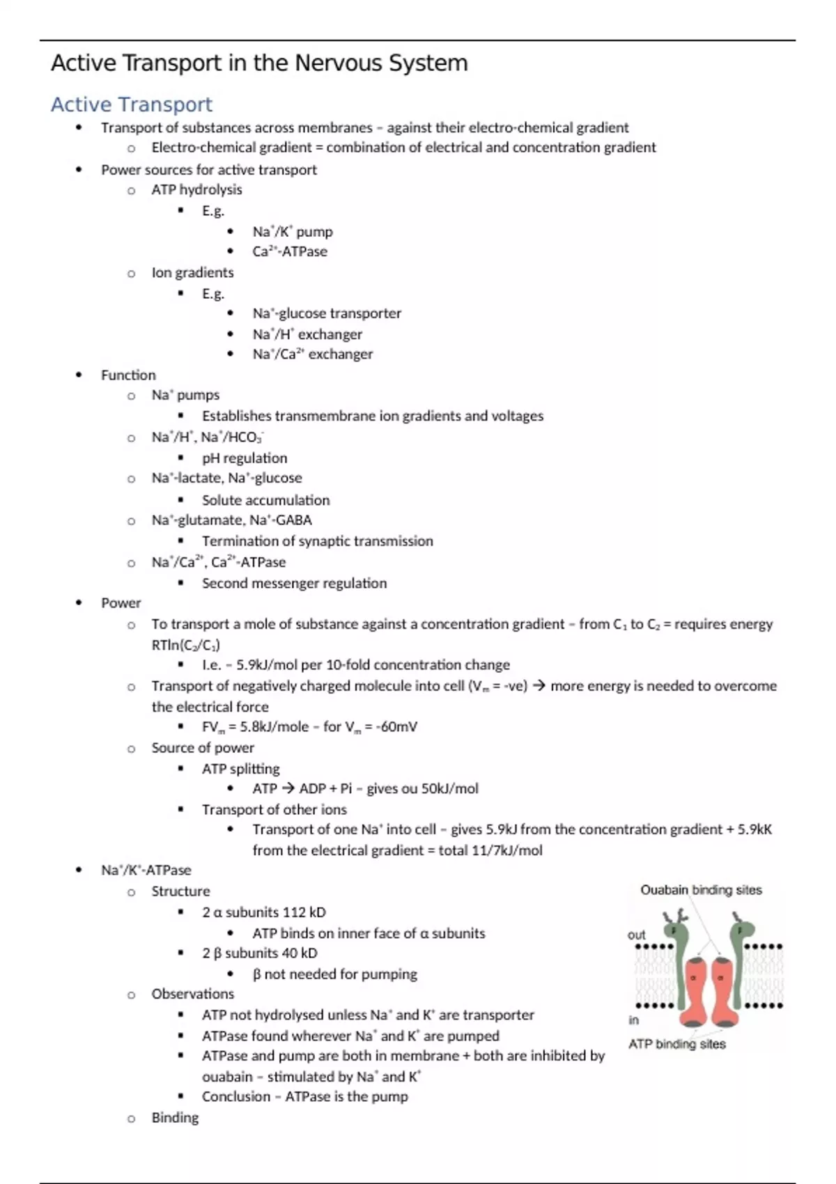 Cellular Neurophysiology (NEUR0007) Notes - Transport & Glial Cells ...