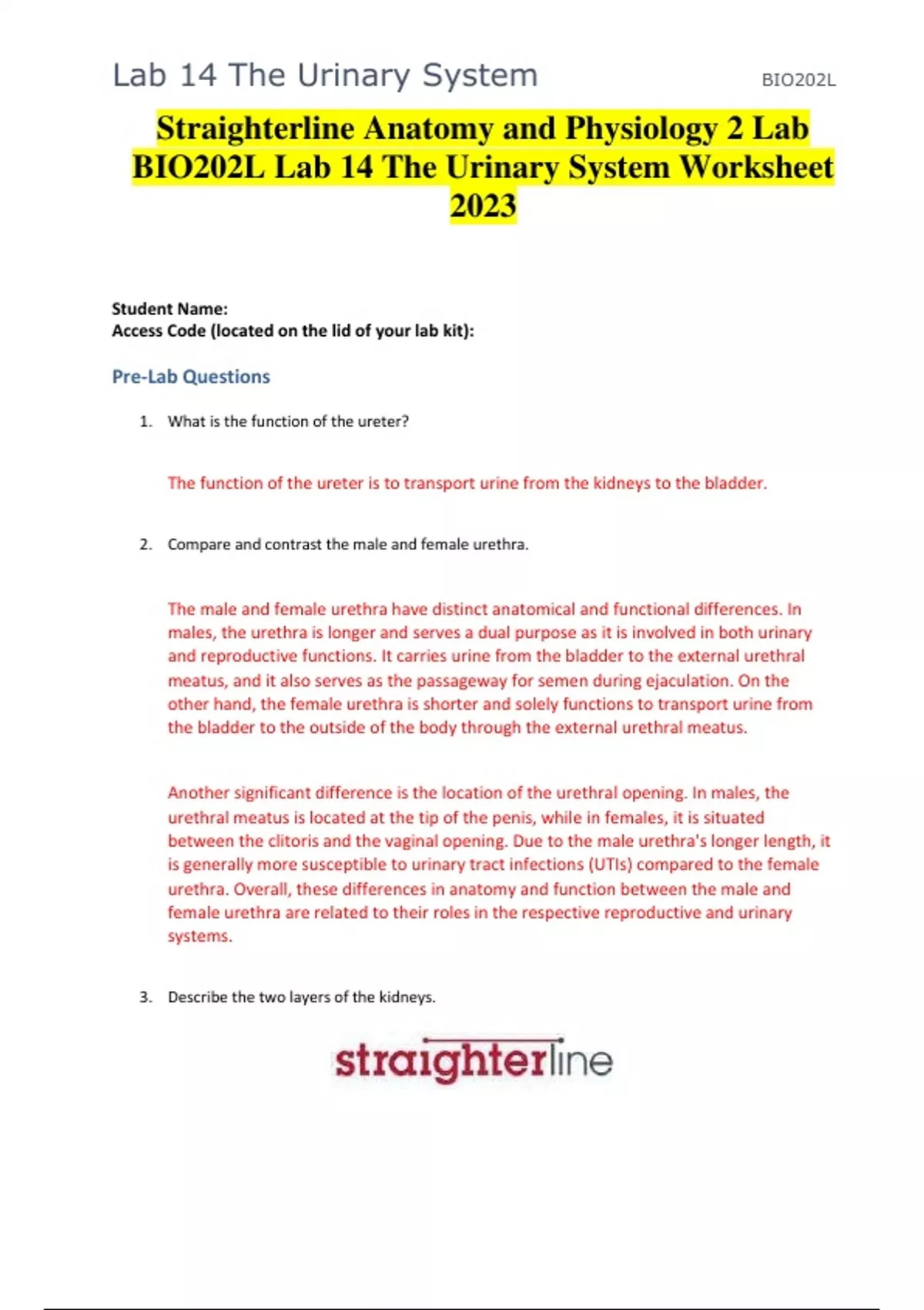 Straighterline Anatomy and Physiology 2 Lab BIO202L Lab 14 The Urinary System Worksheet ...