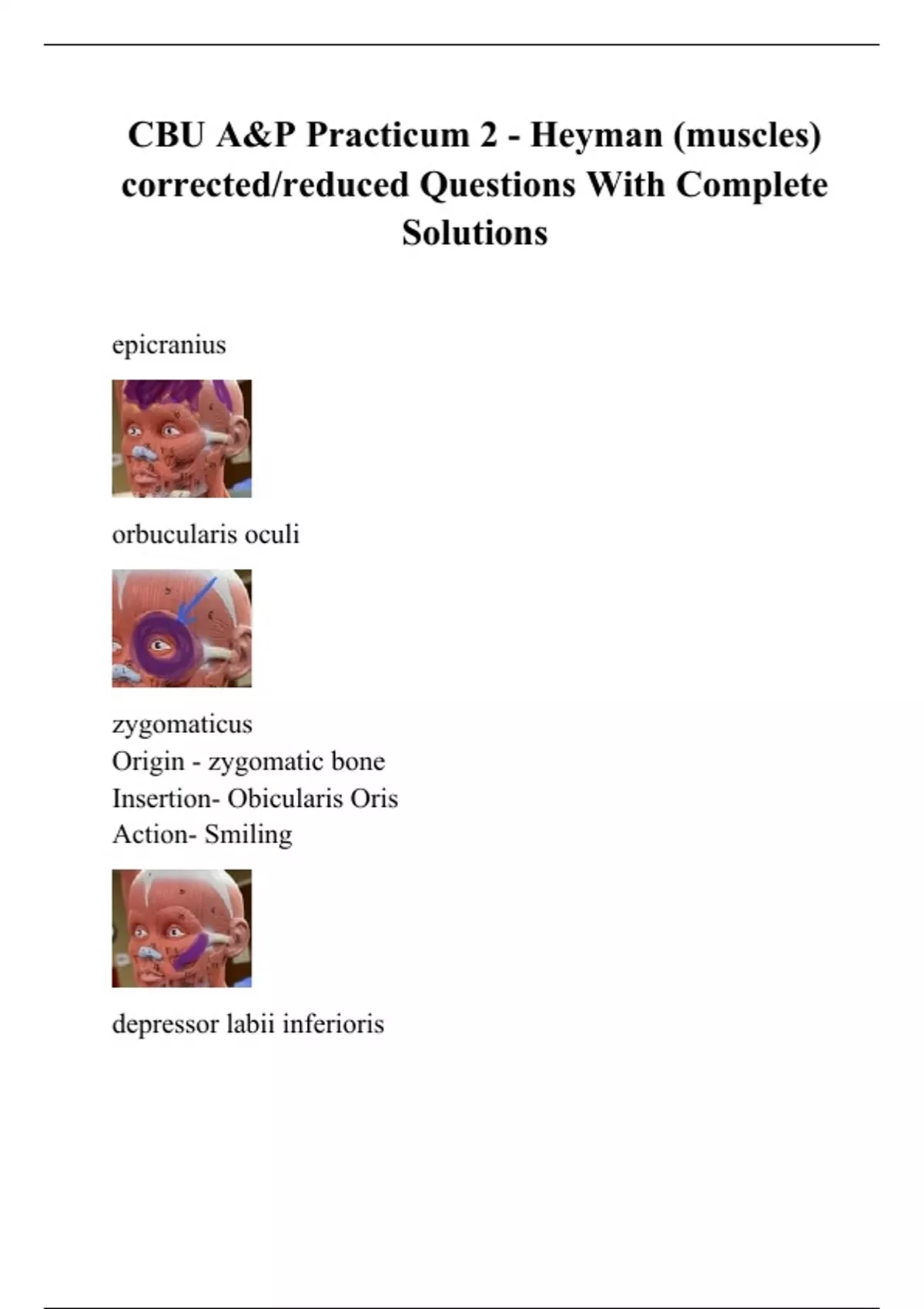 CBU A&P Practicum 2 - Heyman (muscles) corrected/reduced Questions With Complete Solutions - CBU ...