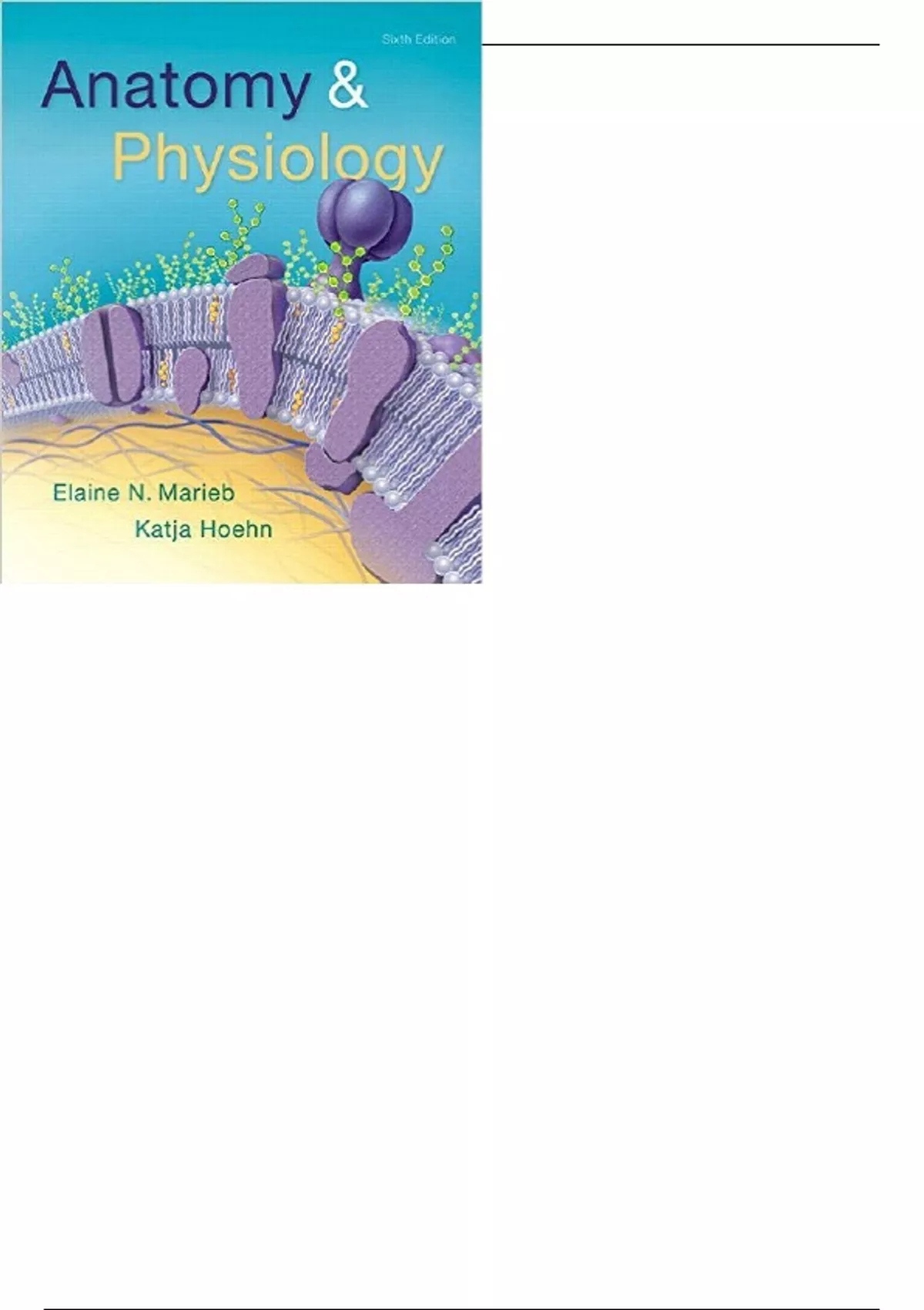 Anatomy of Orofacial Structures 7th Edition by Brand - Test Bank ...