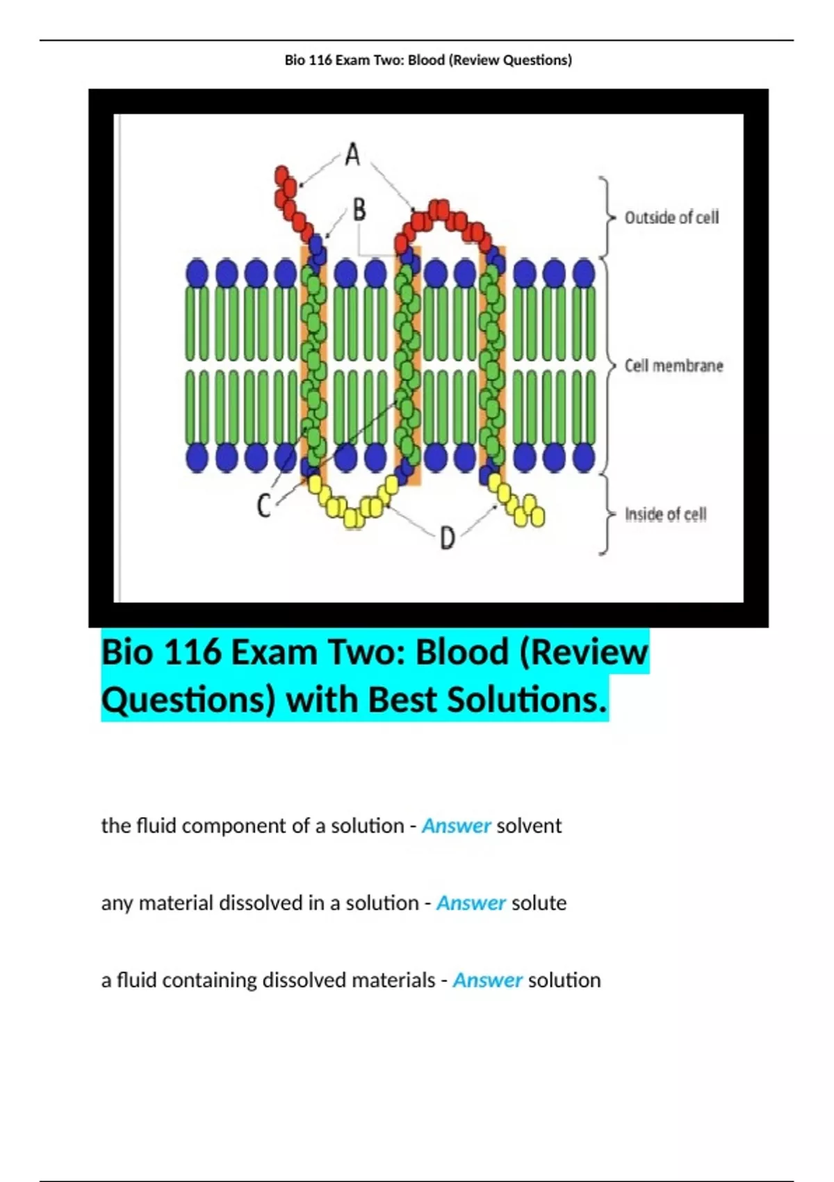 Bio 116 Exam Two: Blood (Review Questions) with Best Solutions. - Bio ...