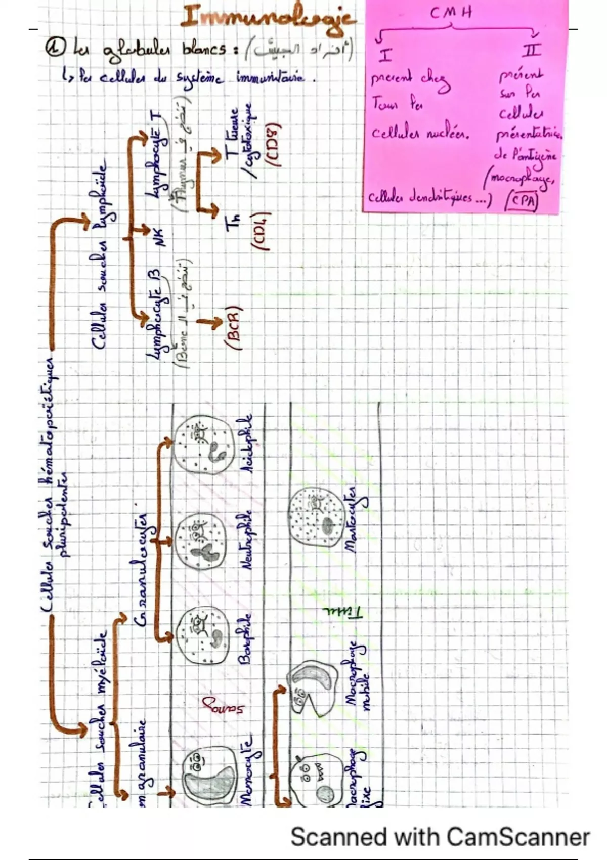résumé - svt immunologie - Svt immunologie - Stuvia US