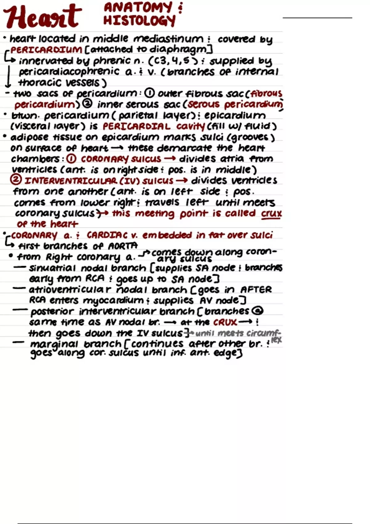 Summary Heart Anatomy and Histology (Adult) - MSN5019 - Anatomy - Stuvia US