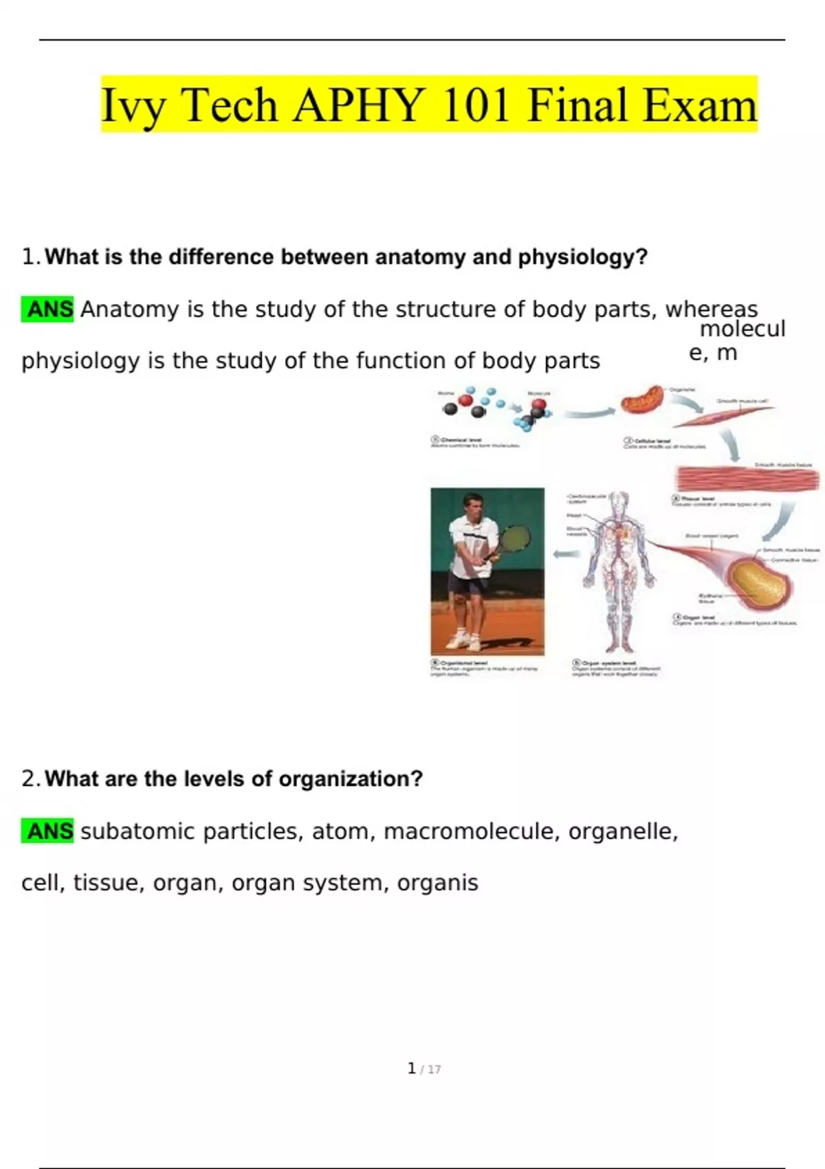 APHY 101 Final Exam Latest Questions and Answers (2024 / 2025 ...