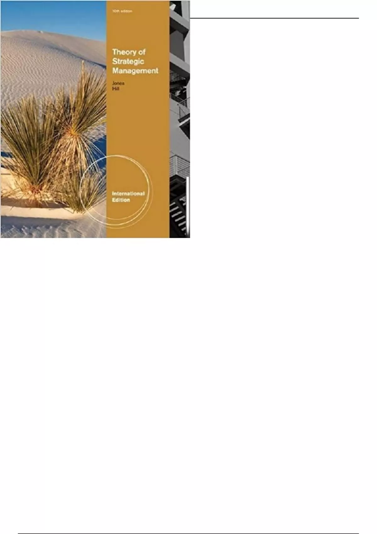 Theory of Strategic Management International Edition 10th Edition by ...