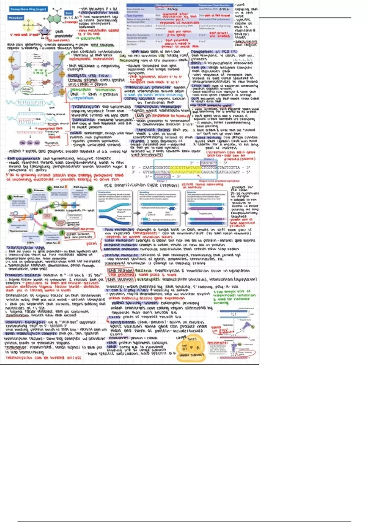 Summary UBC BIOL 112 Comprehensive Cheat Sheet - Biology - Stuvia US
