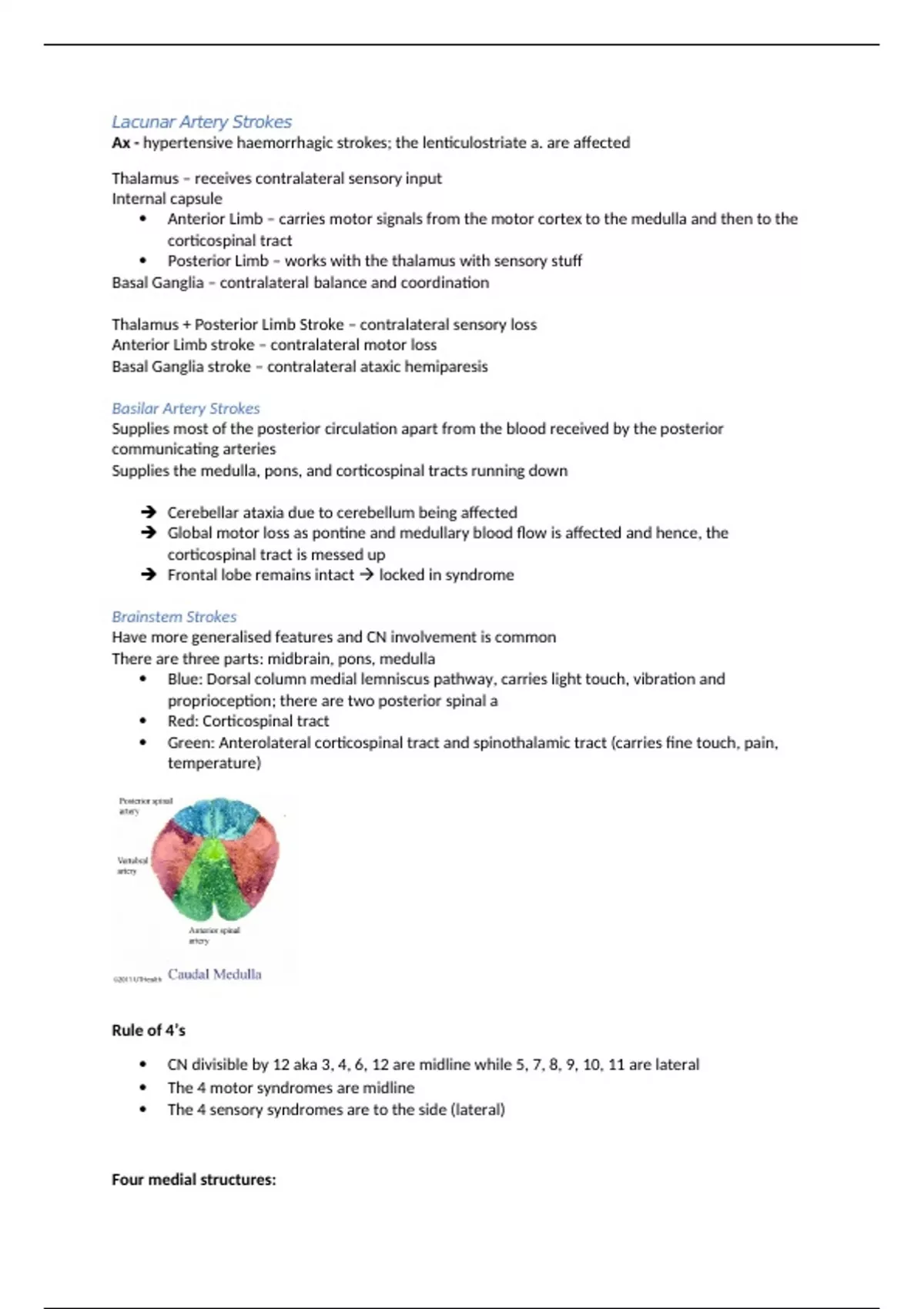 Genitourinary/Renal System - Summary - Clinical Medicine - Stuvia US