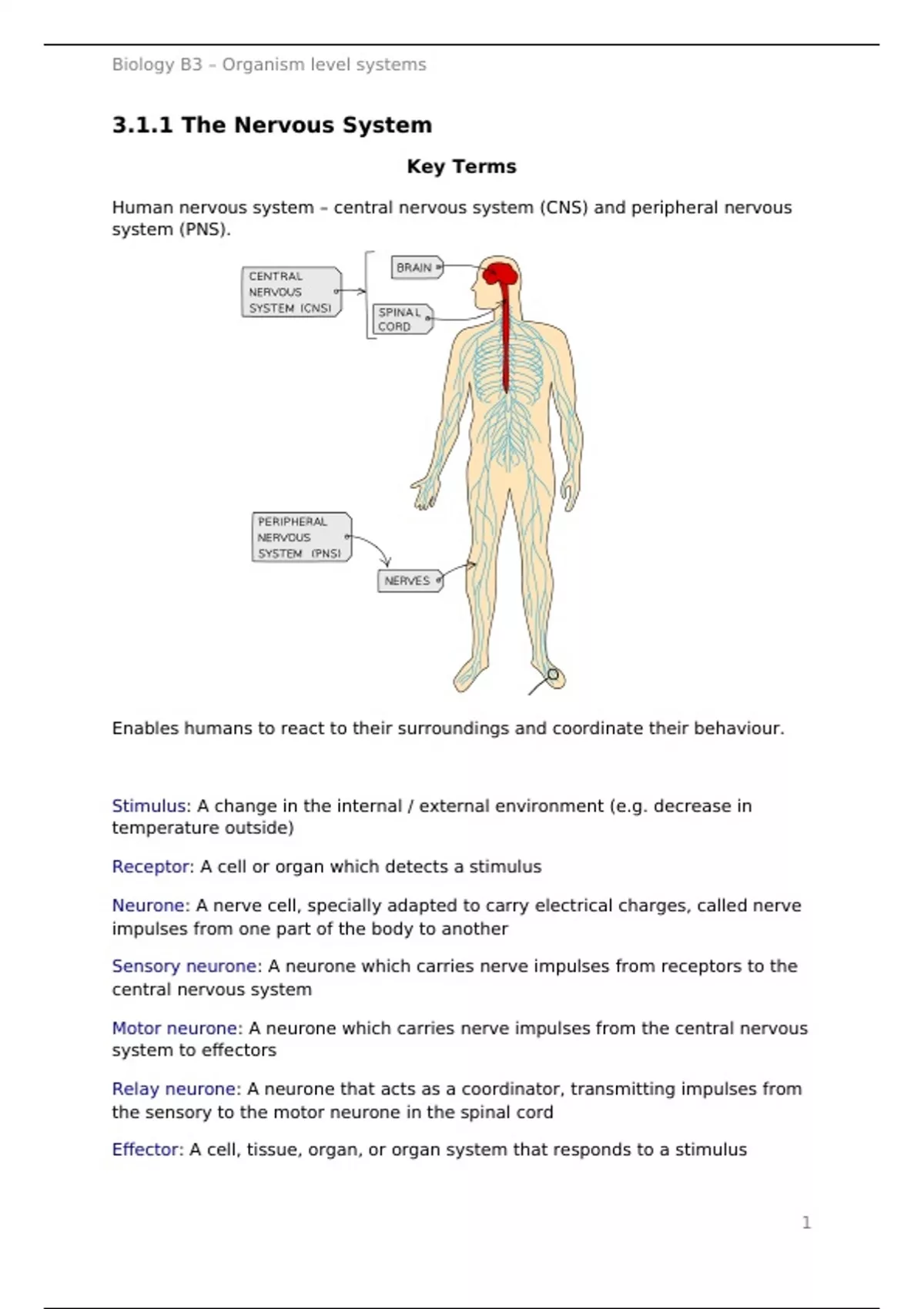 GCSE OCR A Biology Notes - B3: Organism Level Systems - Science - Stuvia UK