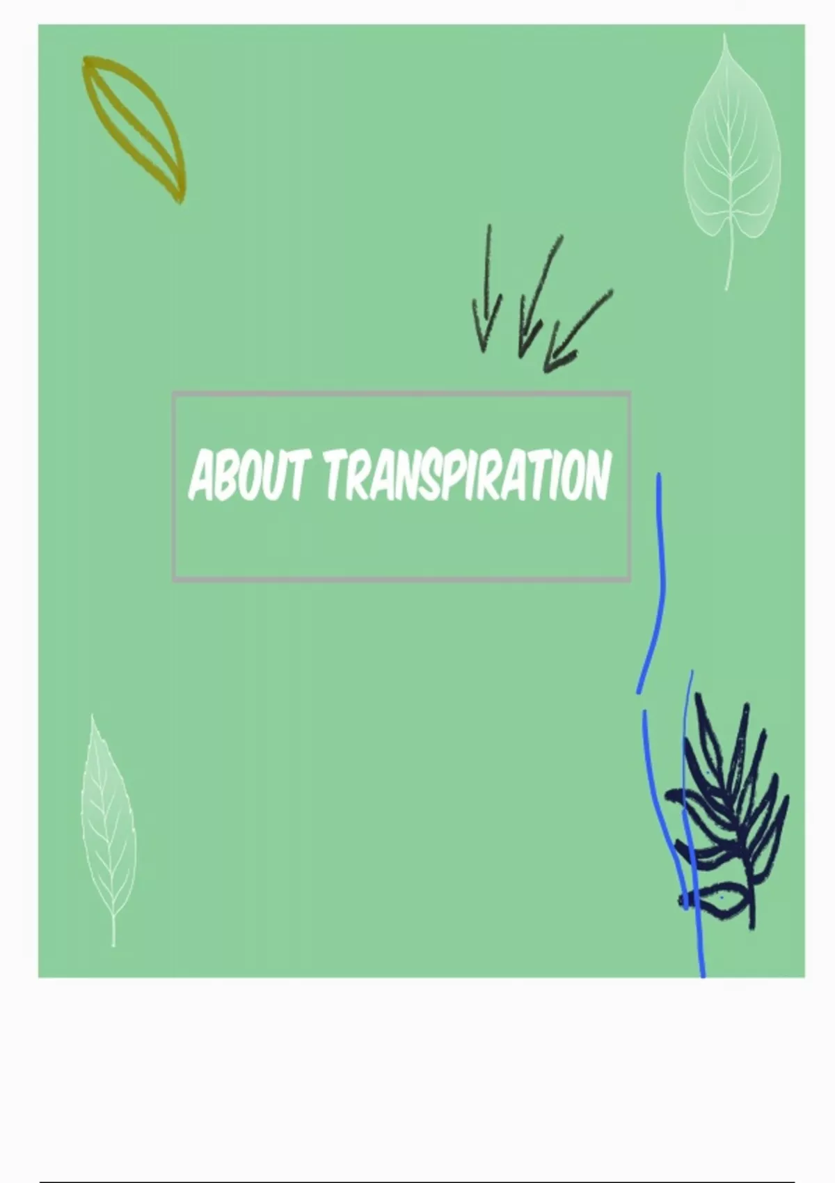 Transpiration in Plant - BIOLOGY - Stuvia US
