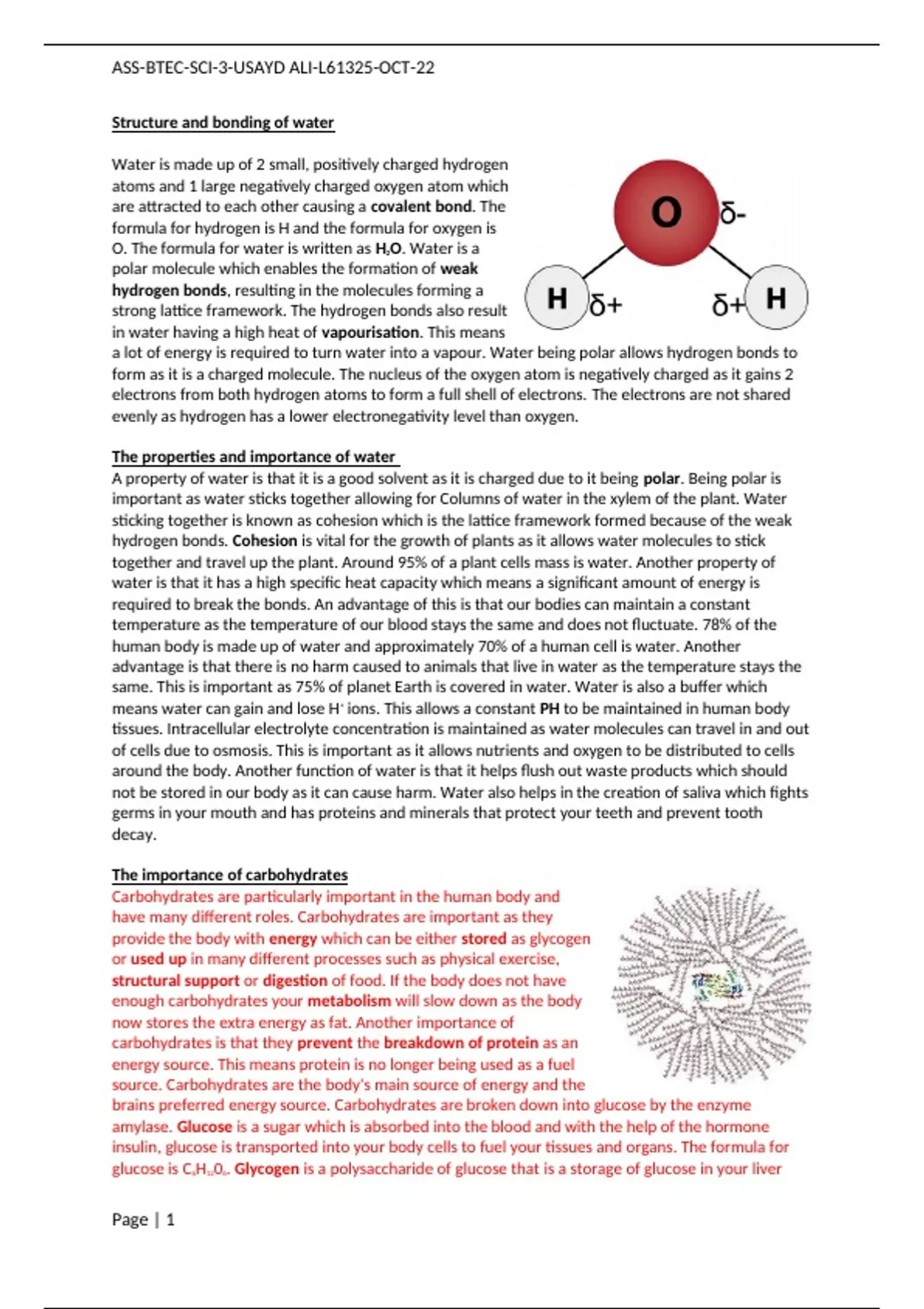 Btec Applied Science Unit 10a Distinction Unit 10 Biological Molecules And Metabolic