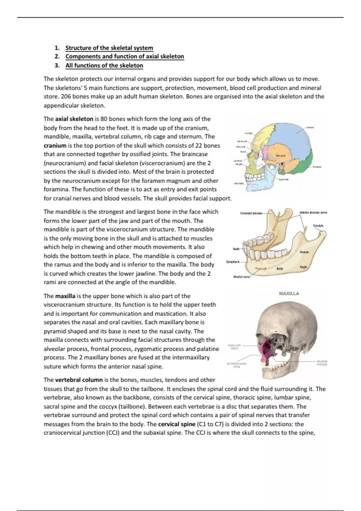 Btec Applied Science Unit 8a Distinction Unit 8 Physiology Of Human Body Systems Stuvia Uk
