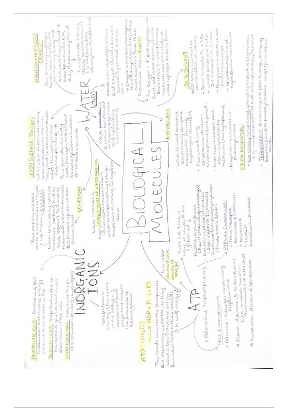 Mindmap of ATP, Water and Ions - Unit 1 - Biological Molecules (7402 ...