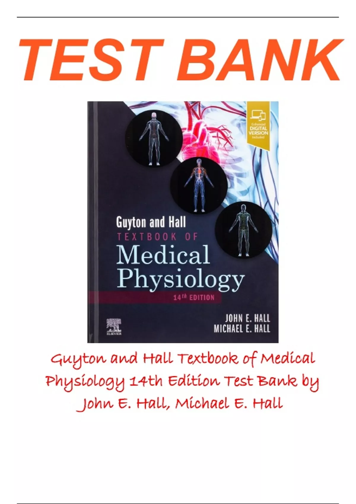 TEST BANK Guyton And Hall Textbook Of Medical Physiology 14th Edition ...