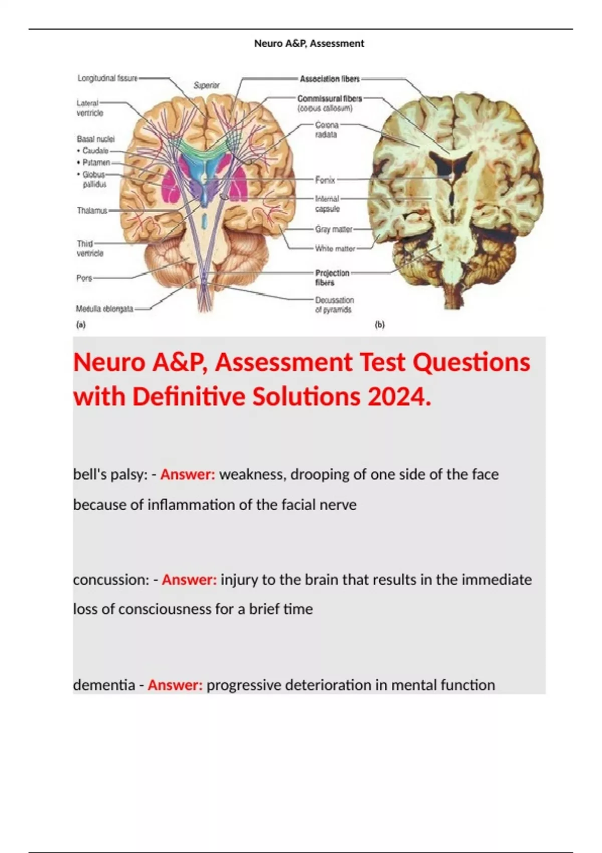 Neuro A&P, Assessment Test Questions with Definitive Solutions 2024 ...