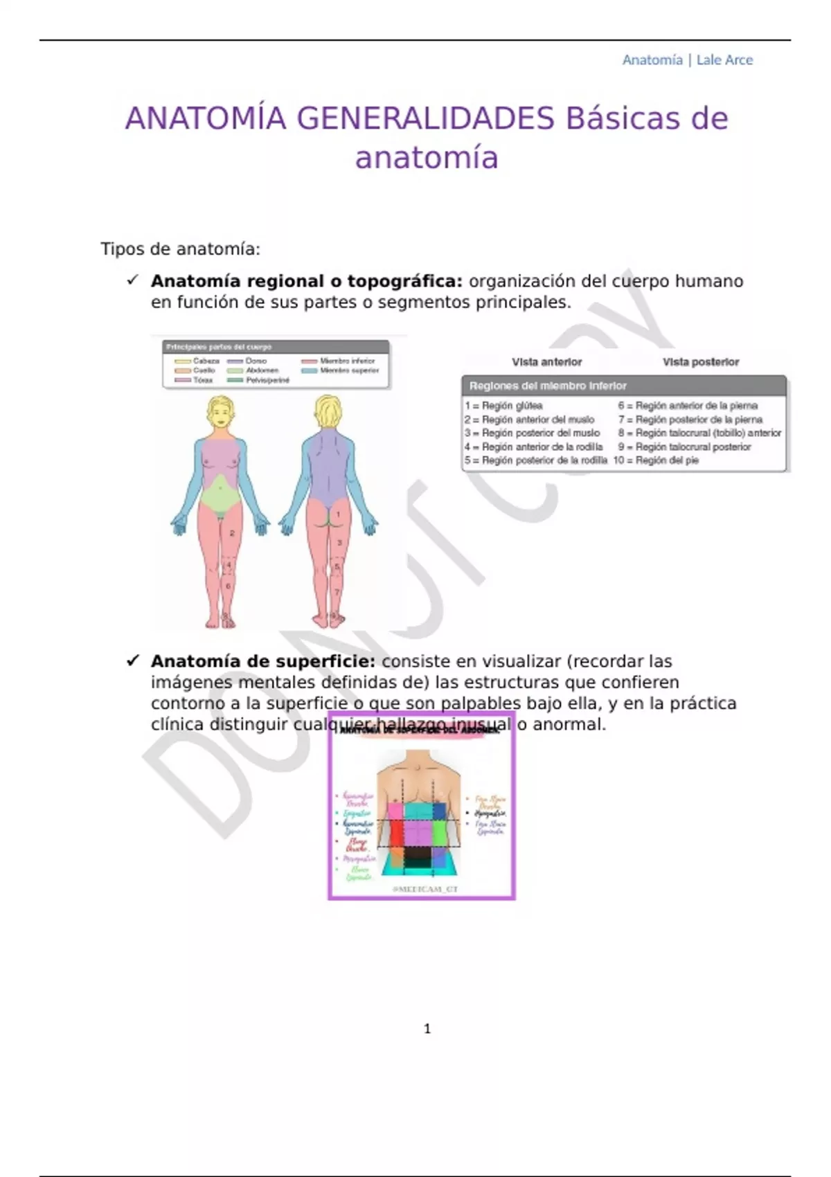 Sumario resumen de conceptos - Anatomia I (MD1107) - Stuvia US
