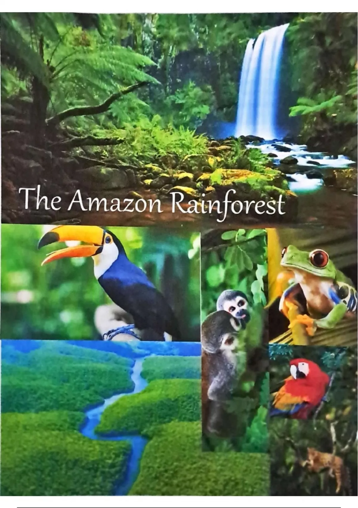 Summary GCSE Geography (AQA Grade 9-1) Revision Case Study The Amazon ...