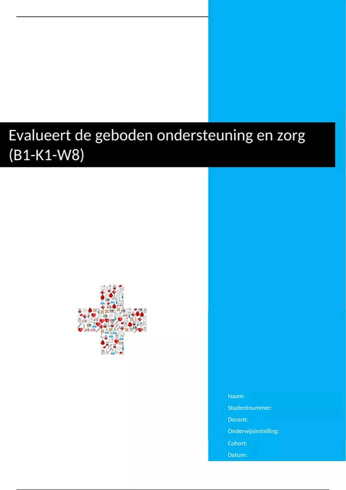 De beste uitwerking voor BPV Evalueert de geboden ondersteuning en zorg ...