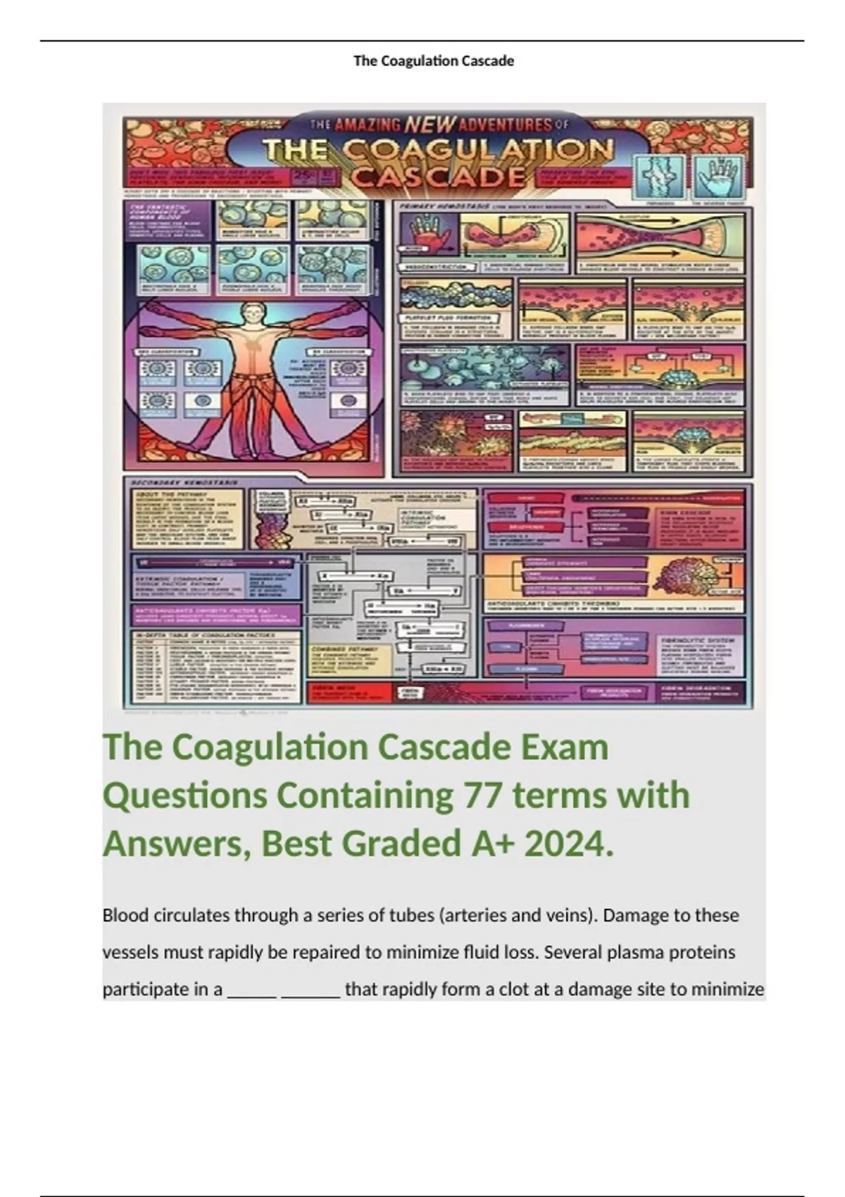 The Coagulation Cascade Assessment Exam Questions with Certified ...