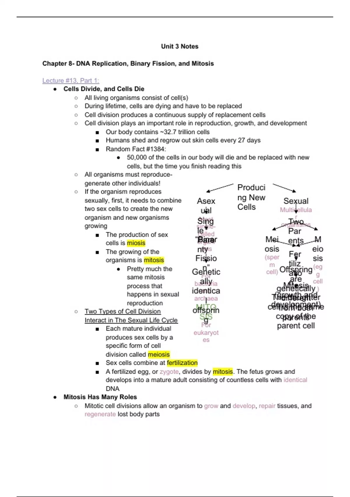 Unit 3 Notes (Chapters 8-11) - DNA Reticulation, Binary Fission, and ...