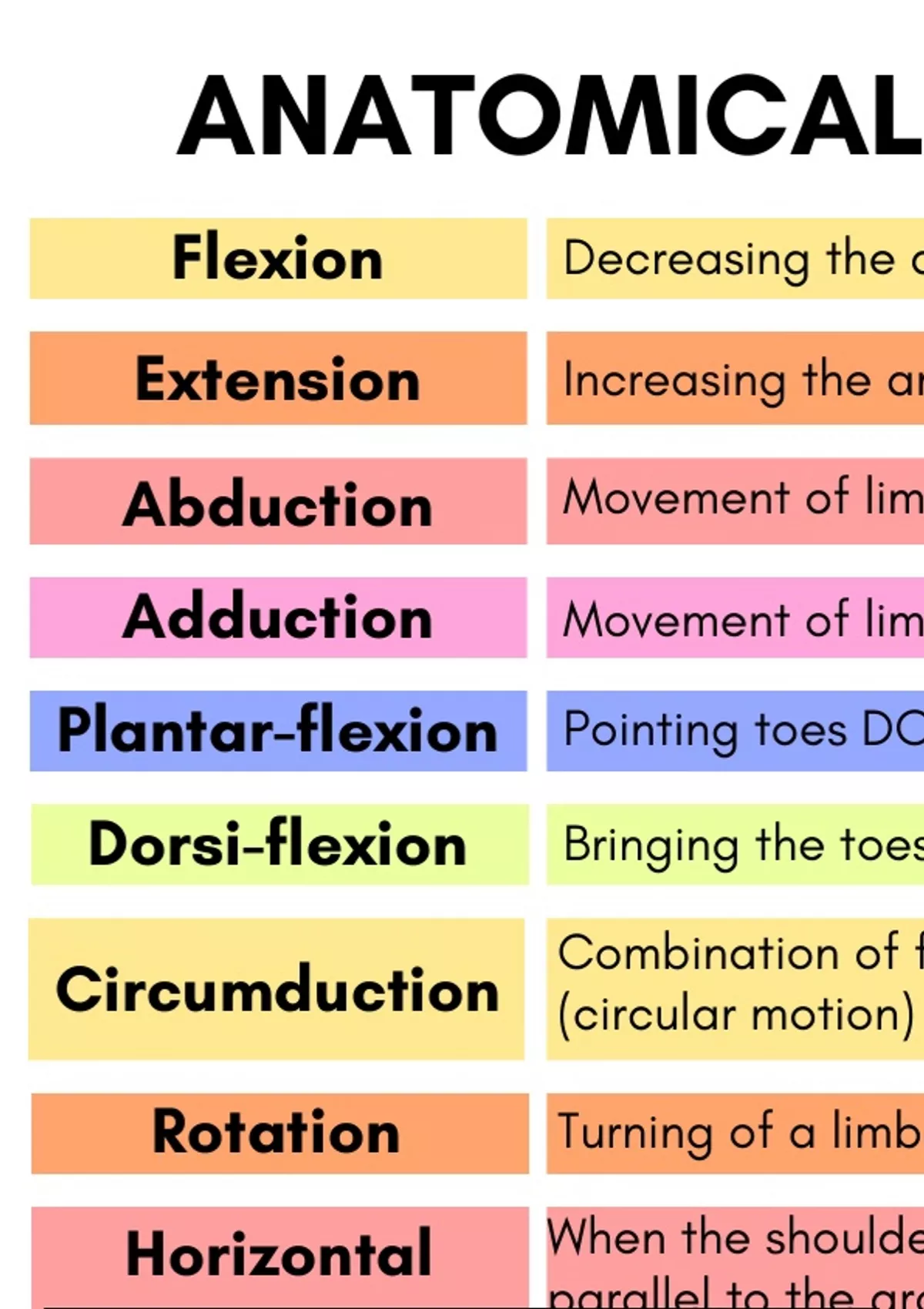 Summary Anatomical movement definitions - muscular skeletal system ...