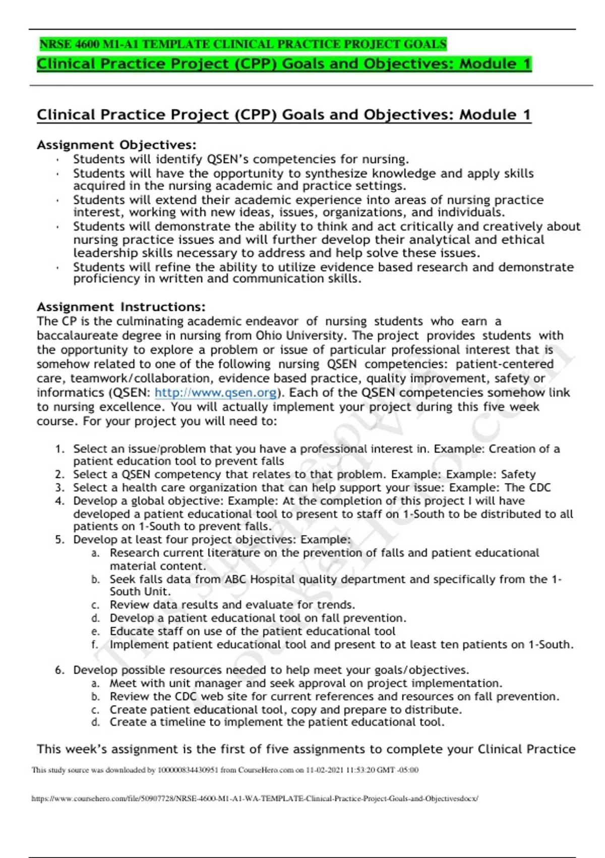NRSE 4600 M1-A1 TEMPLATE CLINICAL PRACTICE PROJECT GOALS Clinical Practice Project (CPP) Goals ...