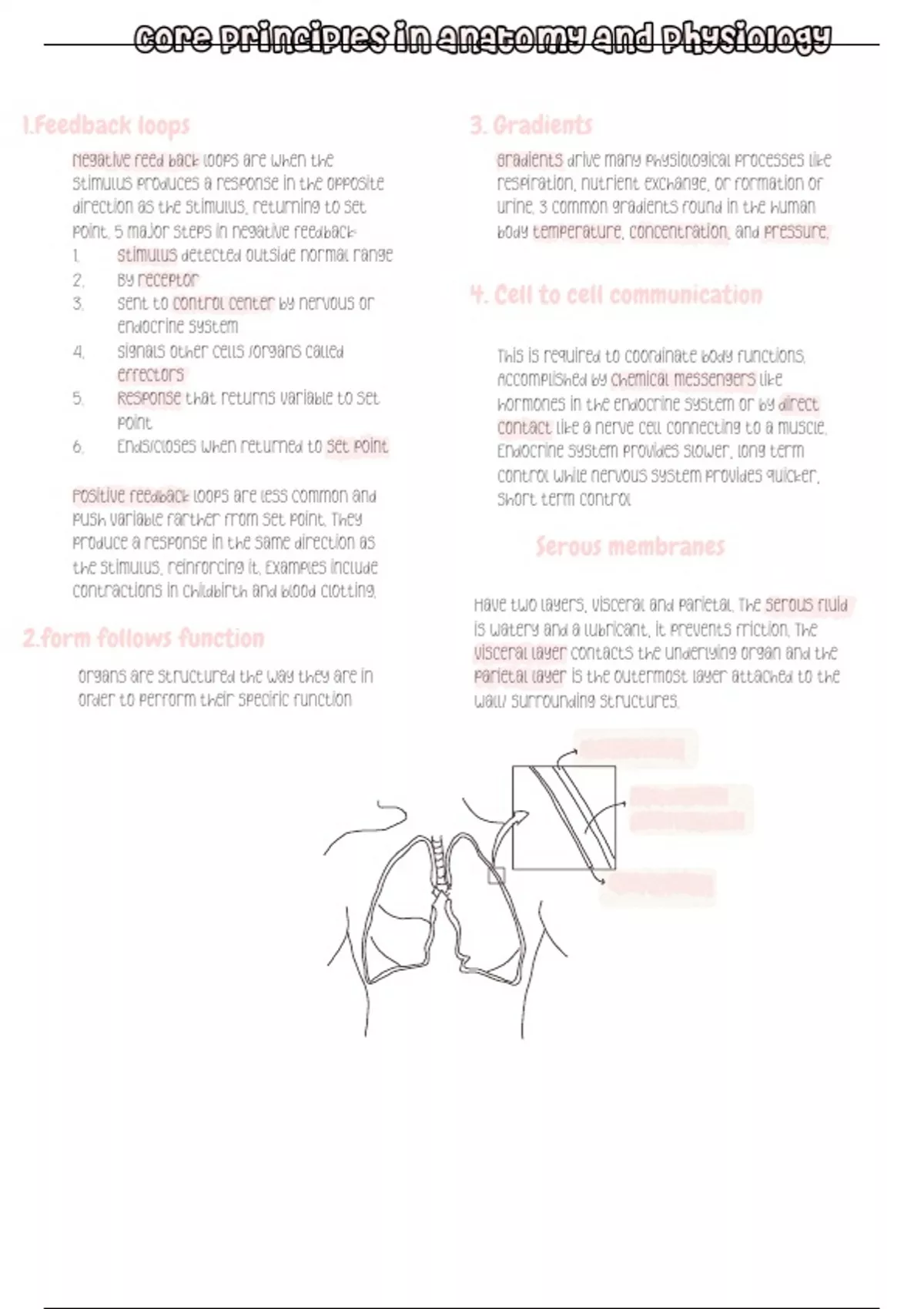 Core Principles in Anatomy - Biol2001c (BIOL2001C) - Stuvia US