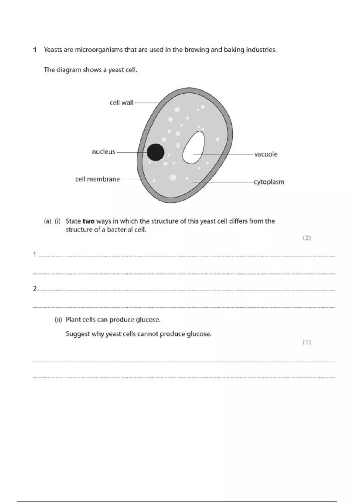 Cell Basics Biology GCSE Exam Style Questions with MARK SCHEME ...
