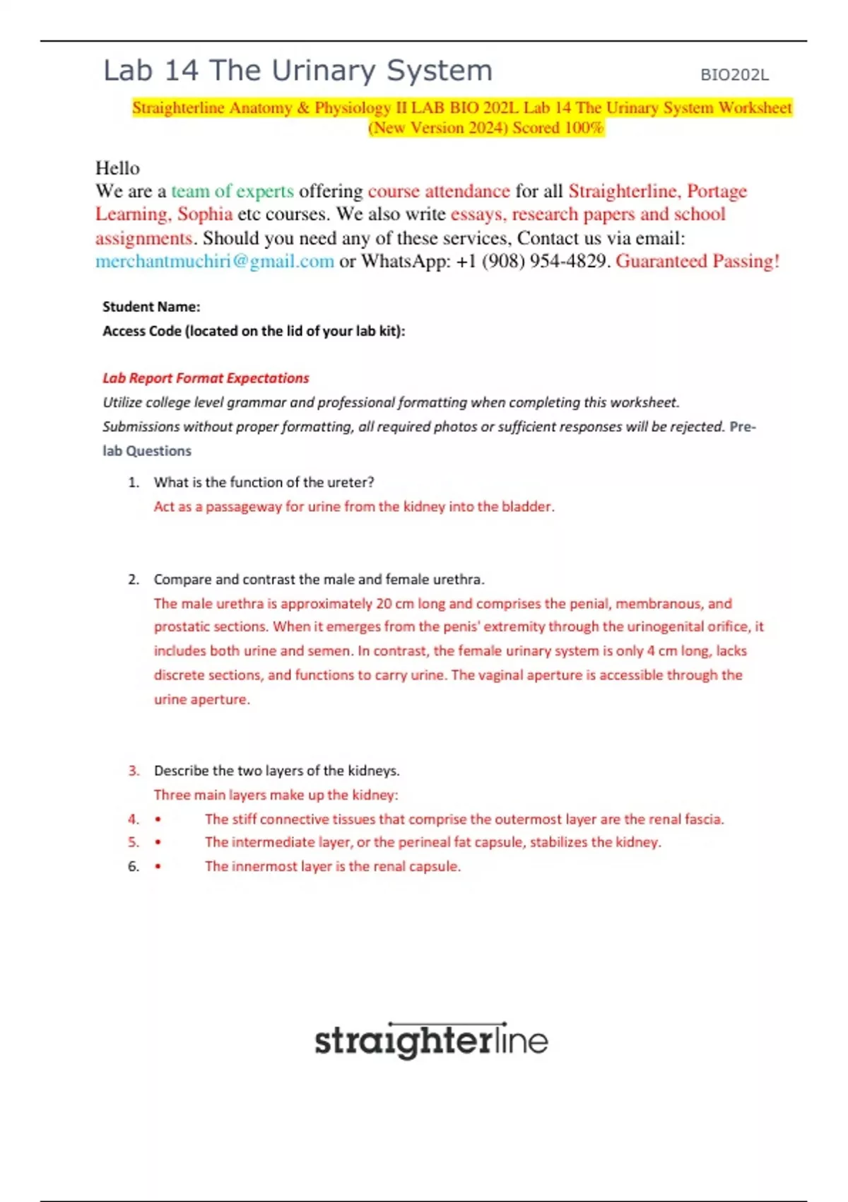 Straighterline Anatomy & Physiology II LAB BIO 202L Lab 14 The Urinary System Worksheet (New ...