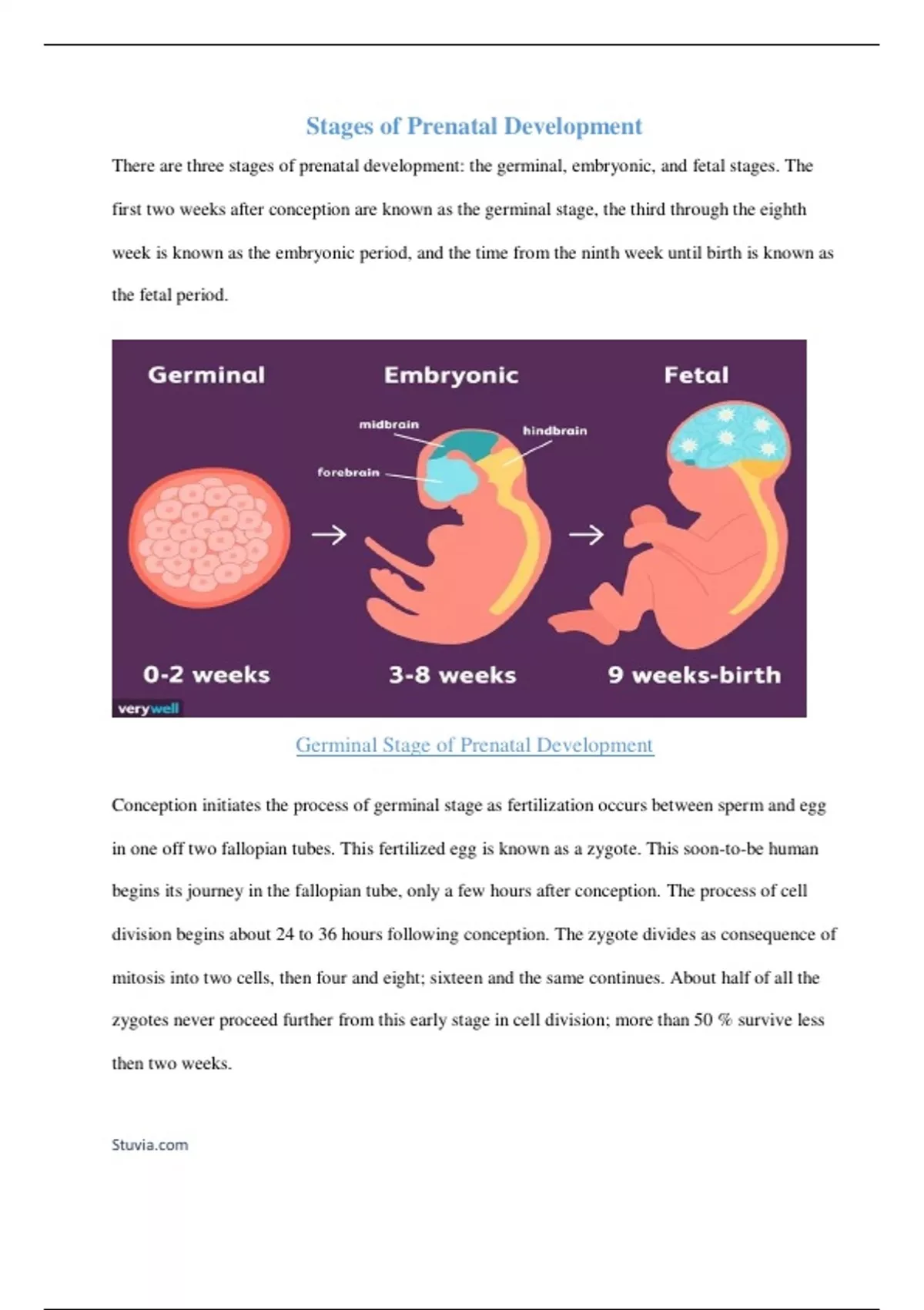 Stages of Prenatal Development - BIO 3456 - Stuvia US