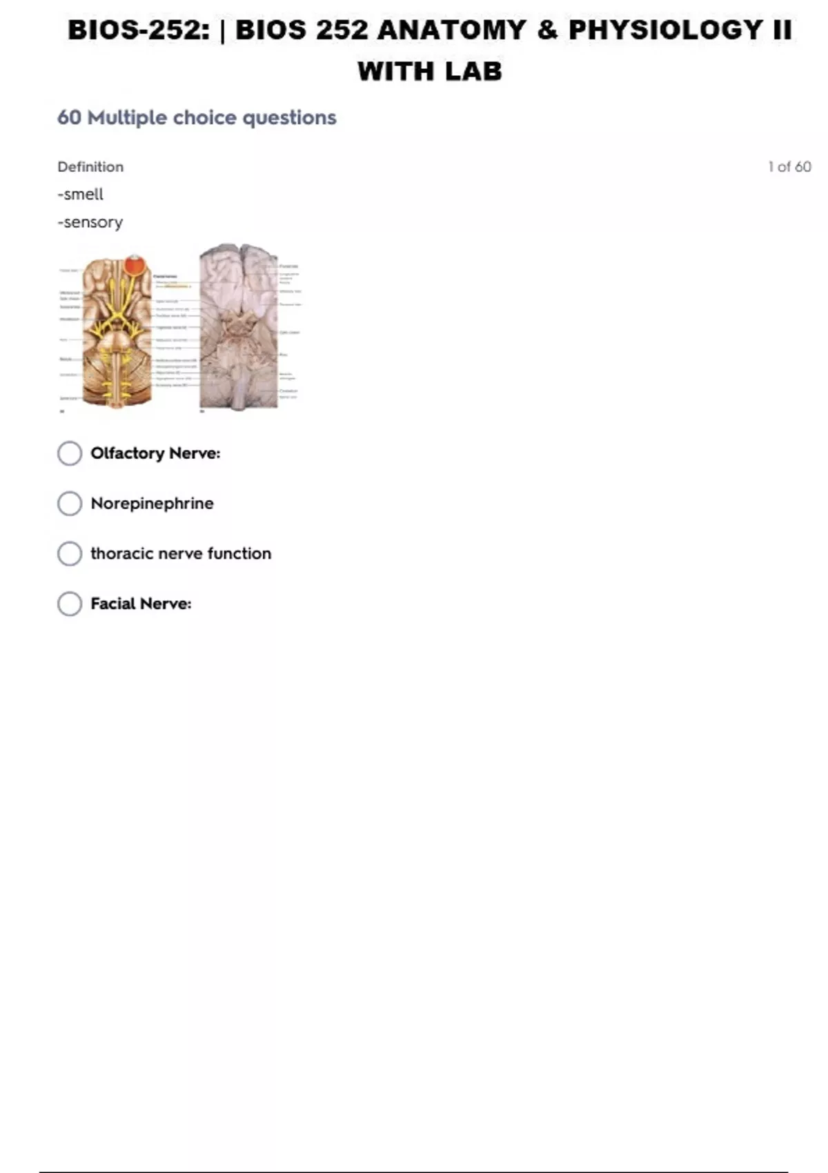 Bios 252 Anatomy And Physiology Ii With Lab Practice Test 13 With Correct