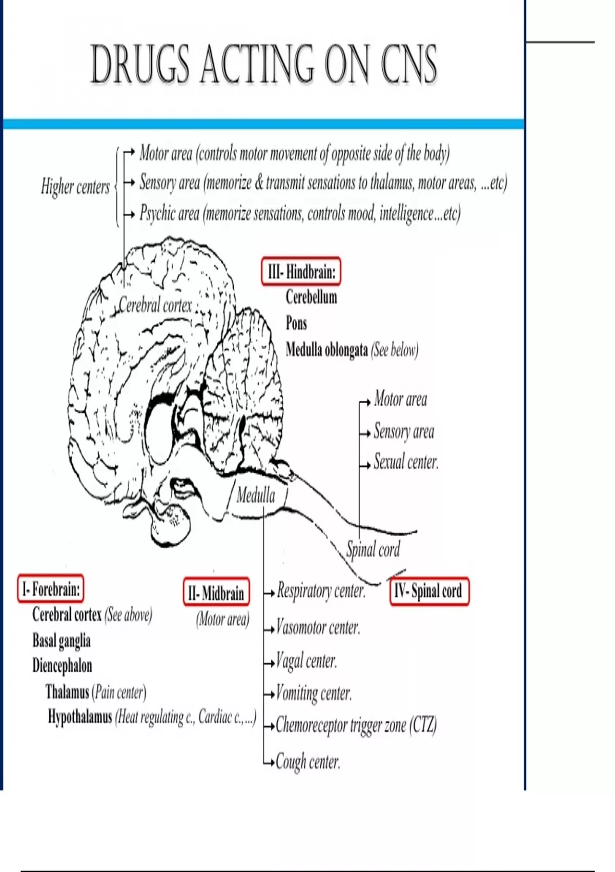 CNS Pharmacology Course notes PLUS practice MCQs & TFQs with ANSWERS ...