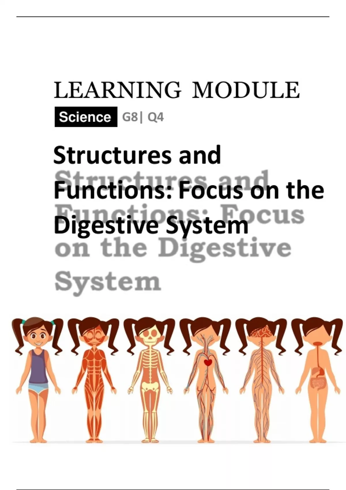 THE ANATOMY AND DEVELOPMENT OF THE FEMALE EXTERNAL GENITAL ORGANS ...