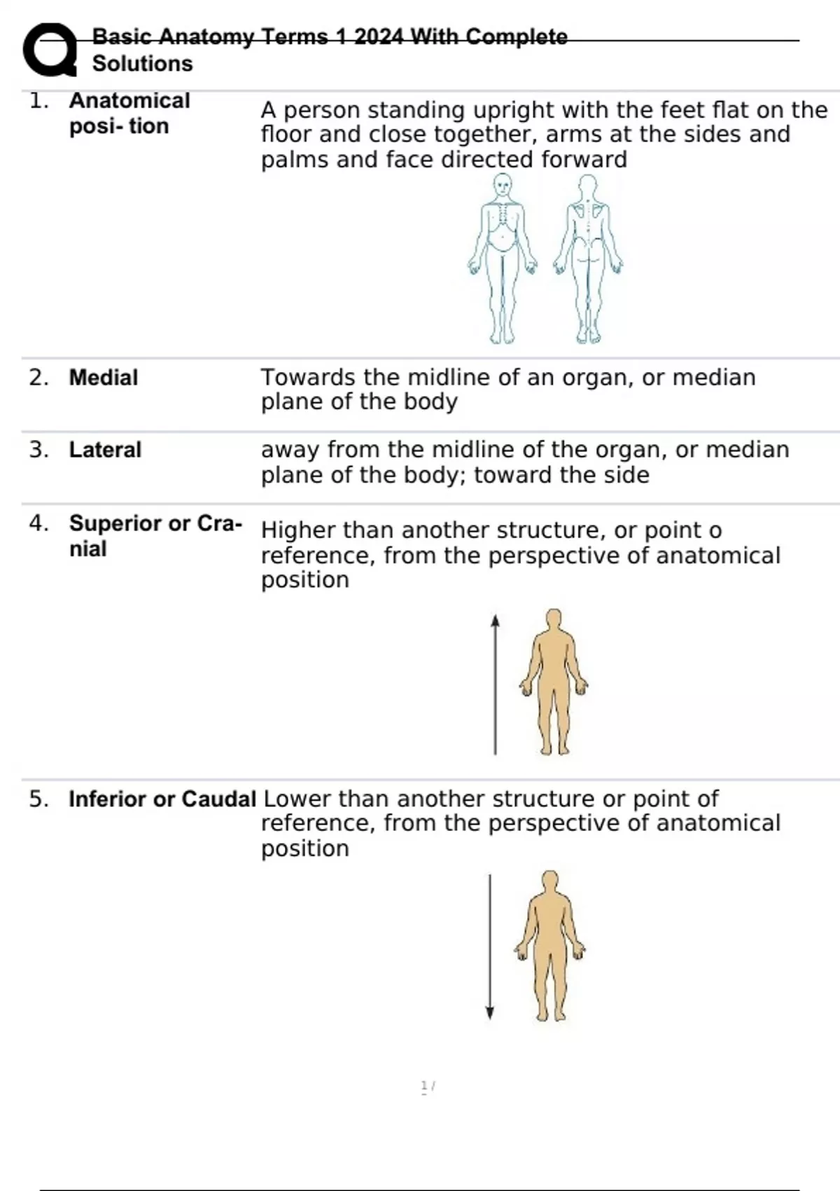 Basic Anatomy Terms 1 2024 With Complete Solutions - Anatomical ...