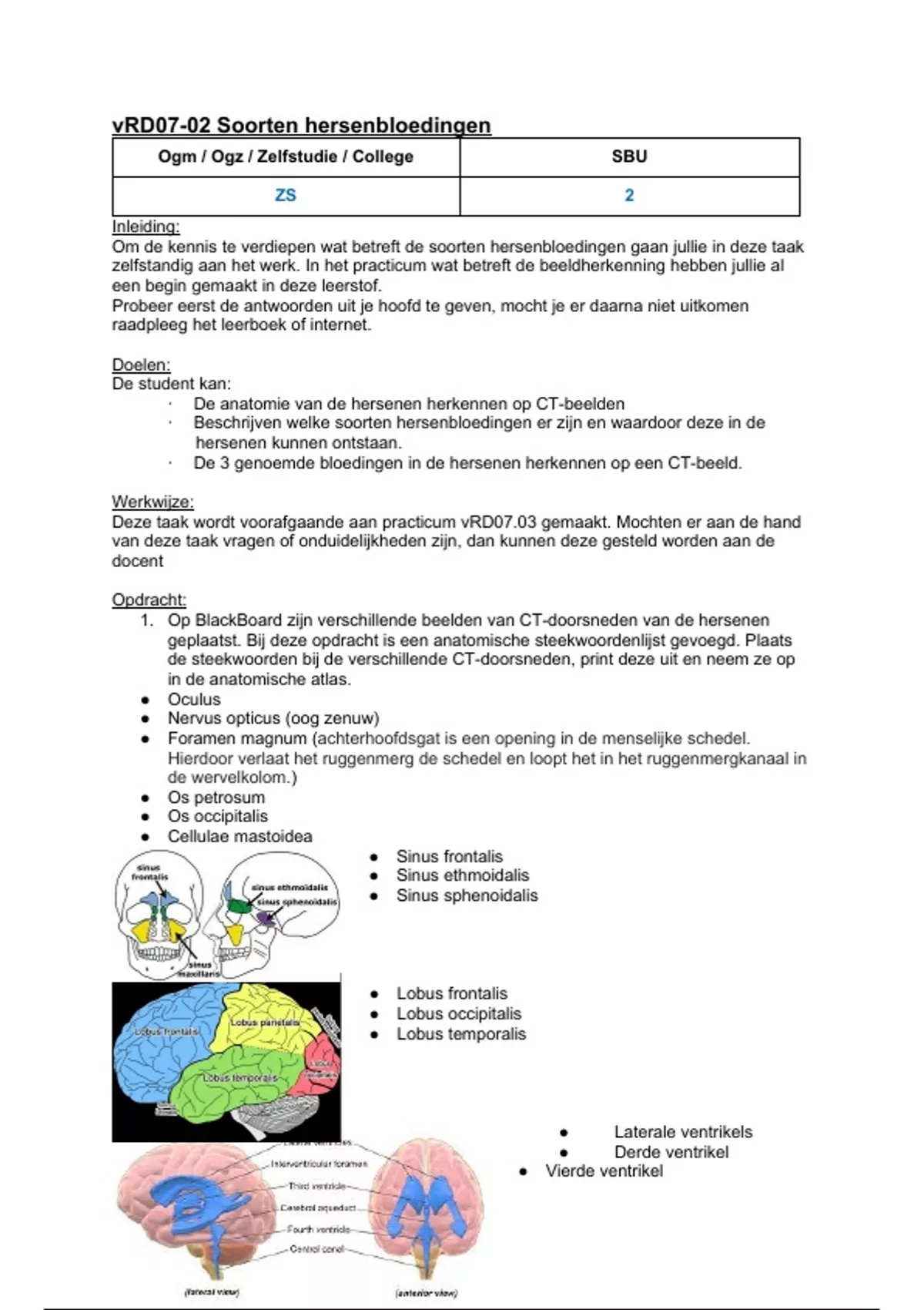 Samenvatting Soorten hersenbloedingen - Radiodiagnostiek (RDP5) - Stuvia NL