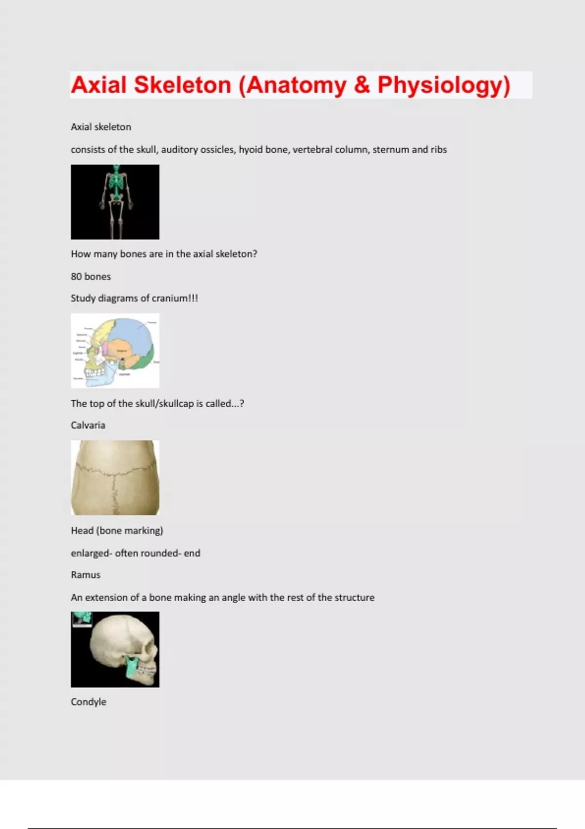 Axial Skeleton (Anatomy & Physiology). exam question and answer latest ...