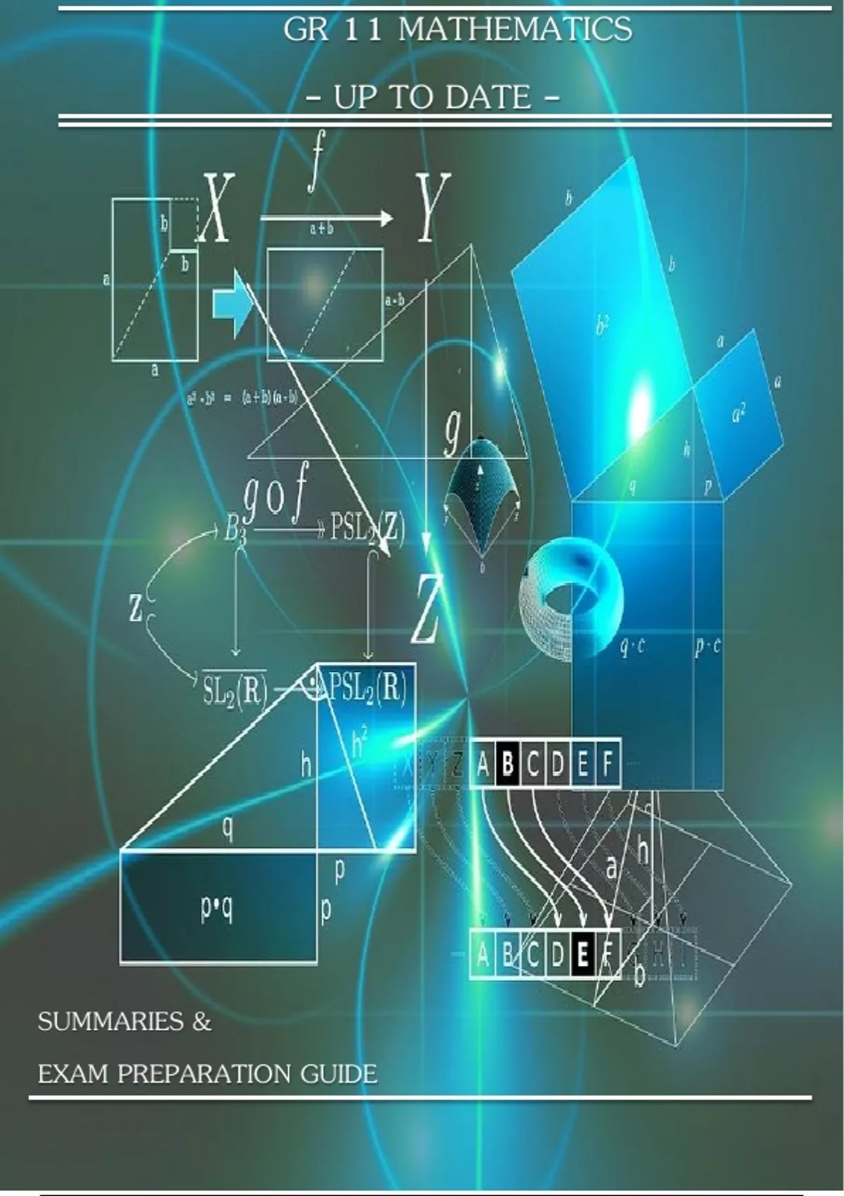 Summary Grade 11 Maths Study Guide - Mathematics - Stuvia SA