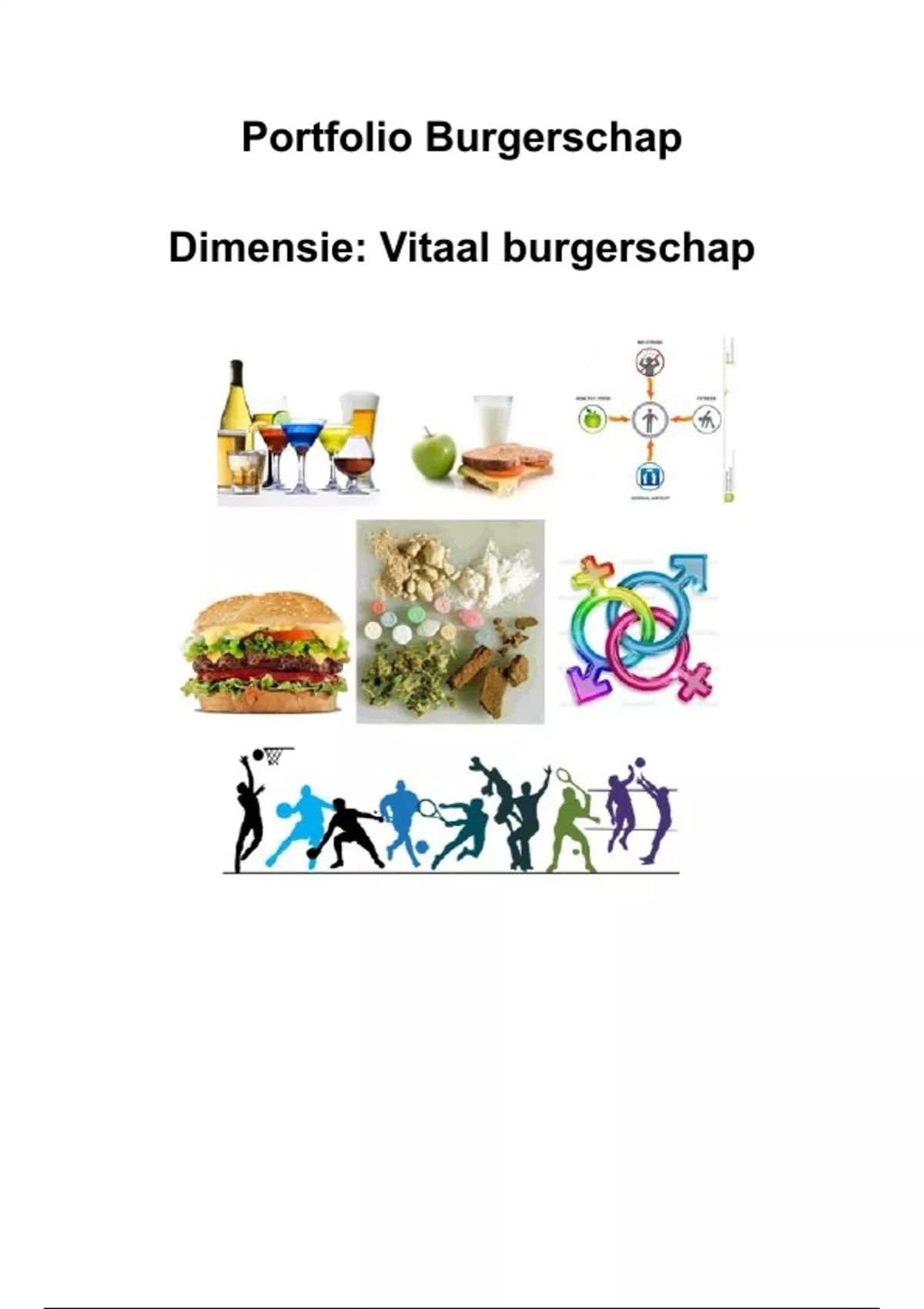 Blok 4 Portfolio Burgerschap Dimensie Vitaal burgerschap - Burgerschap - Stuvia NL
