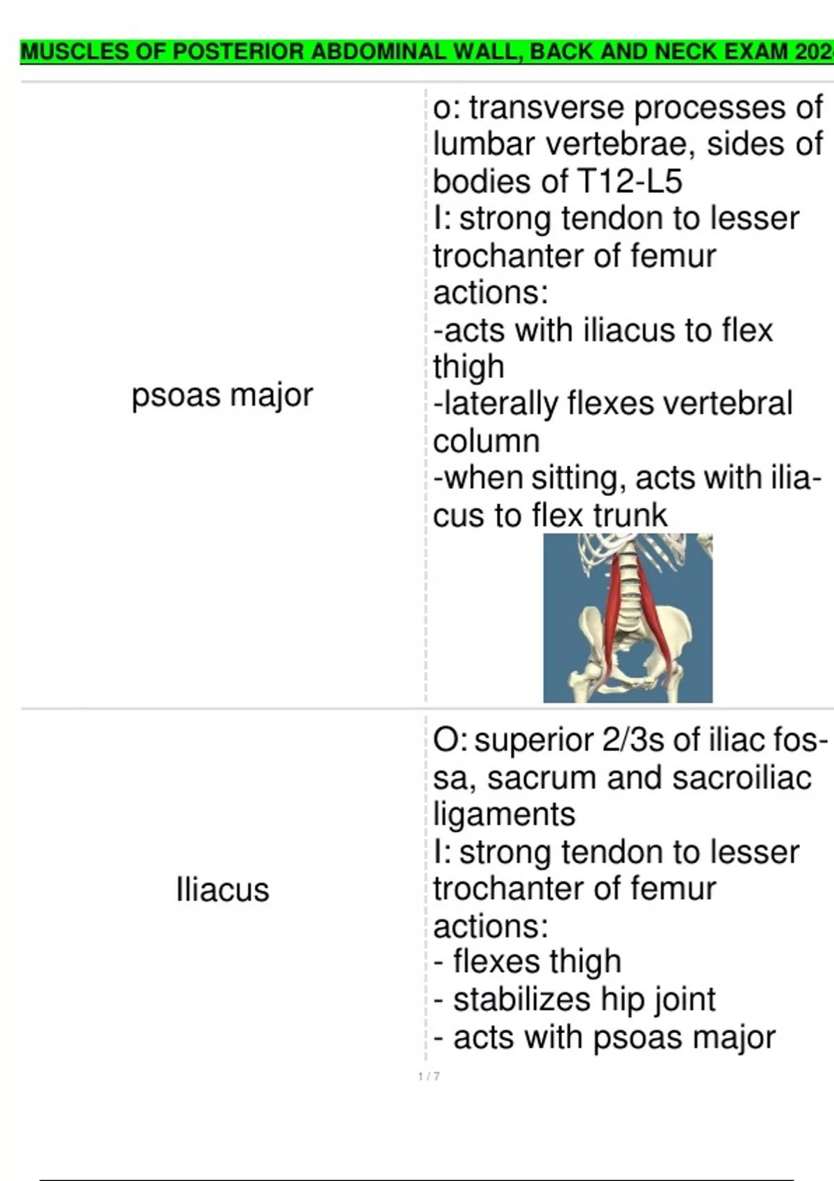MUSCLES OF POSTERIOR ABDOMINAL WALL, BACK AND NECK EXAM 2024 - MUSCLES ...