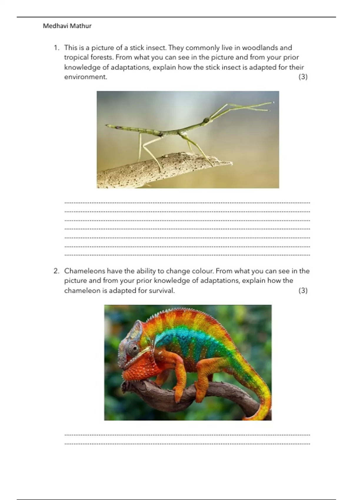 Evolution, Variation and Extinction KS3 Questions - Biology - Stuvia UK