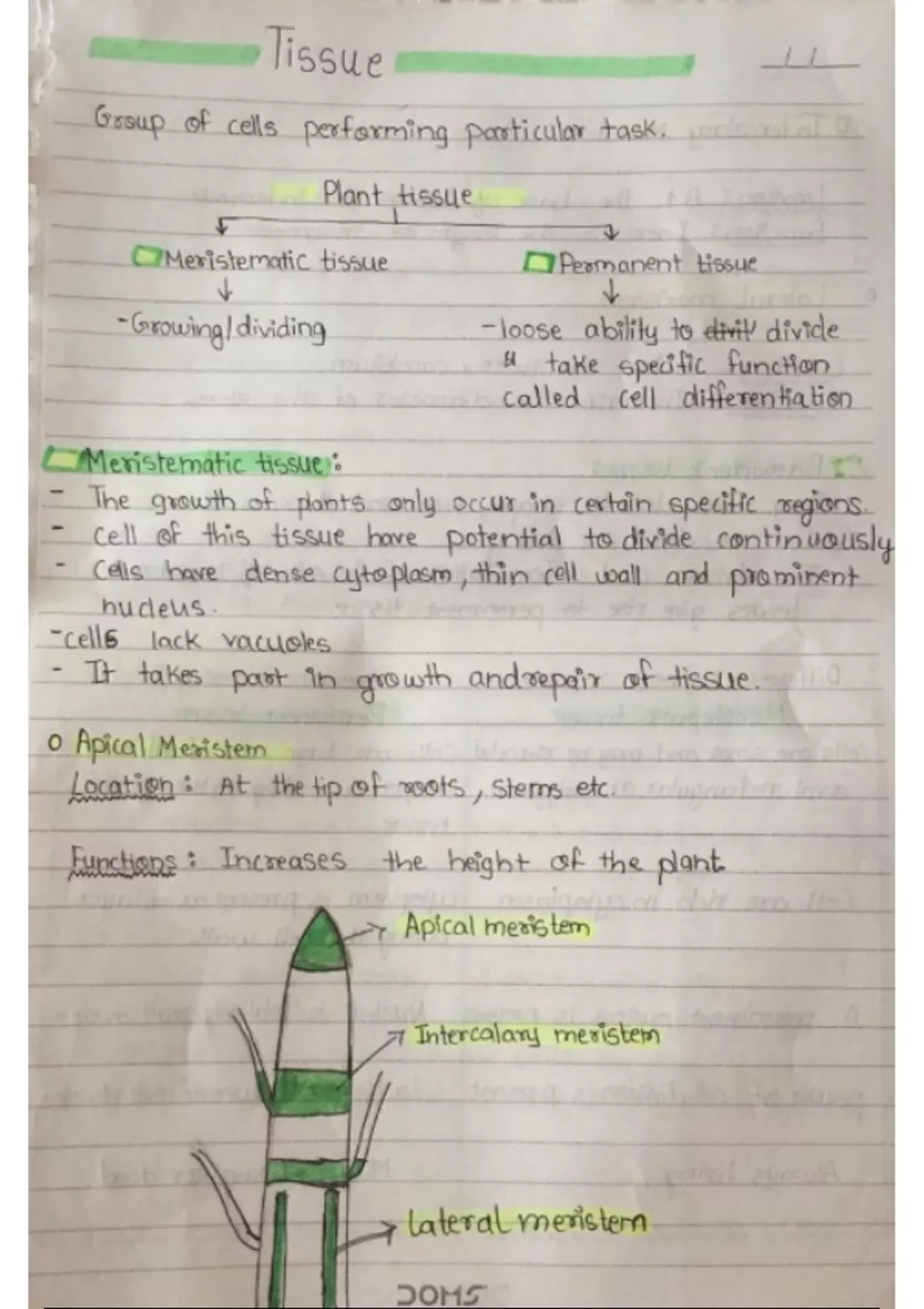 Class 9 Biology chapter 1 notes - Biology - Stuvia US