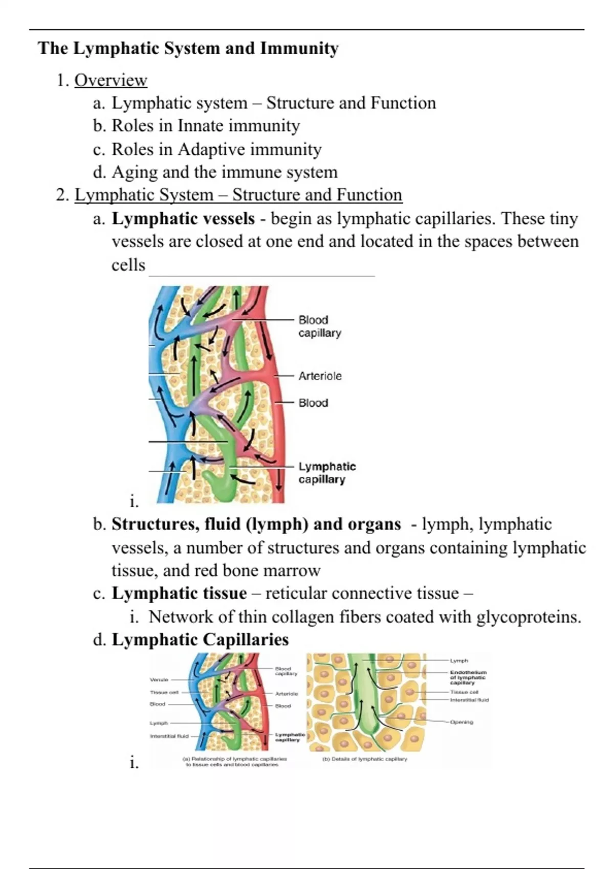 Summary physiology of the lymphatic system summarized notes - Human ...