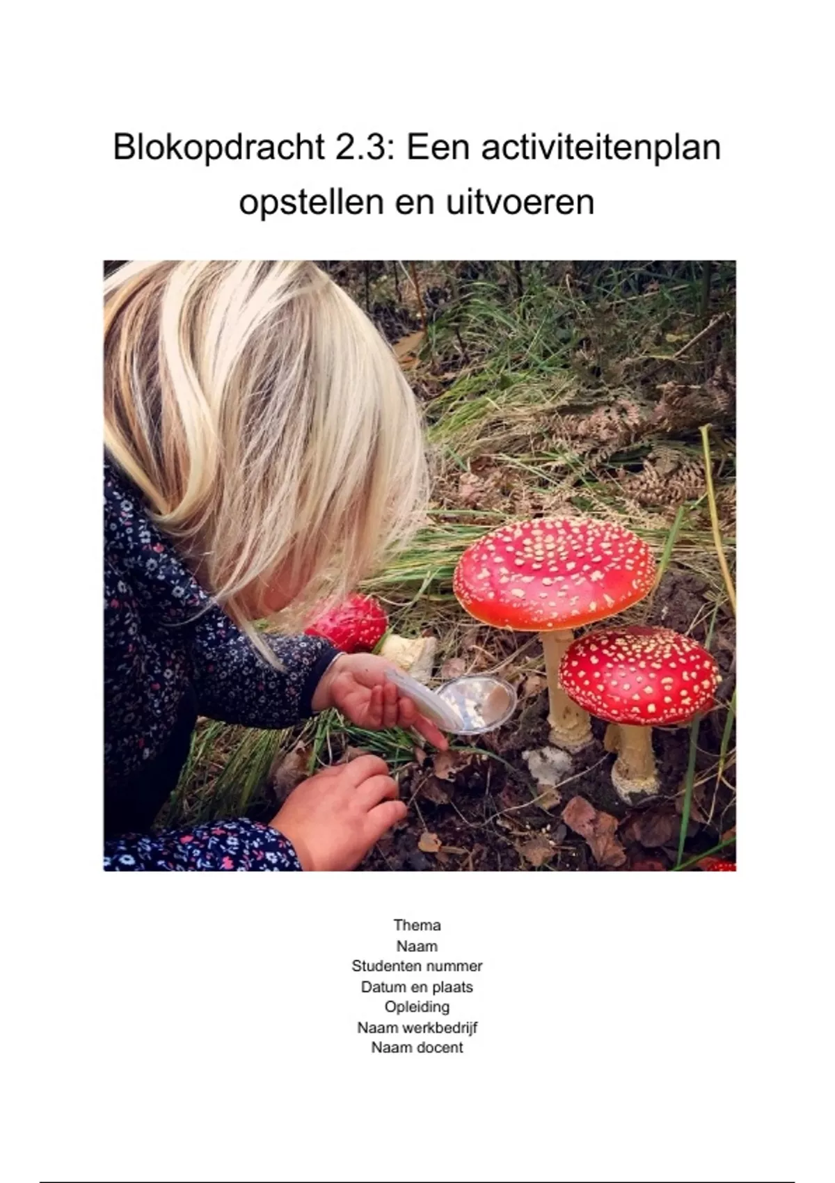 Samenvatting Blok opdracht 2.3 Een activiteitenplan opstellen en uitvoeren - Blok 2 - Stuvia NL